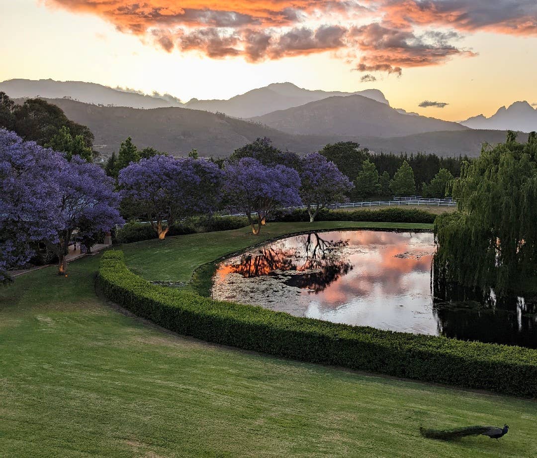 Cape Town Has It All for Far-Flung Travelers | Men’s Journal - Men's ...