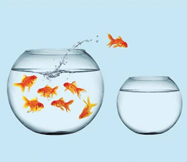 How to Start a Business—And Make It Succeed - Men's Journal