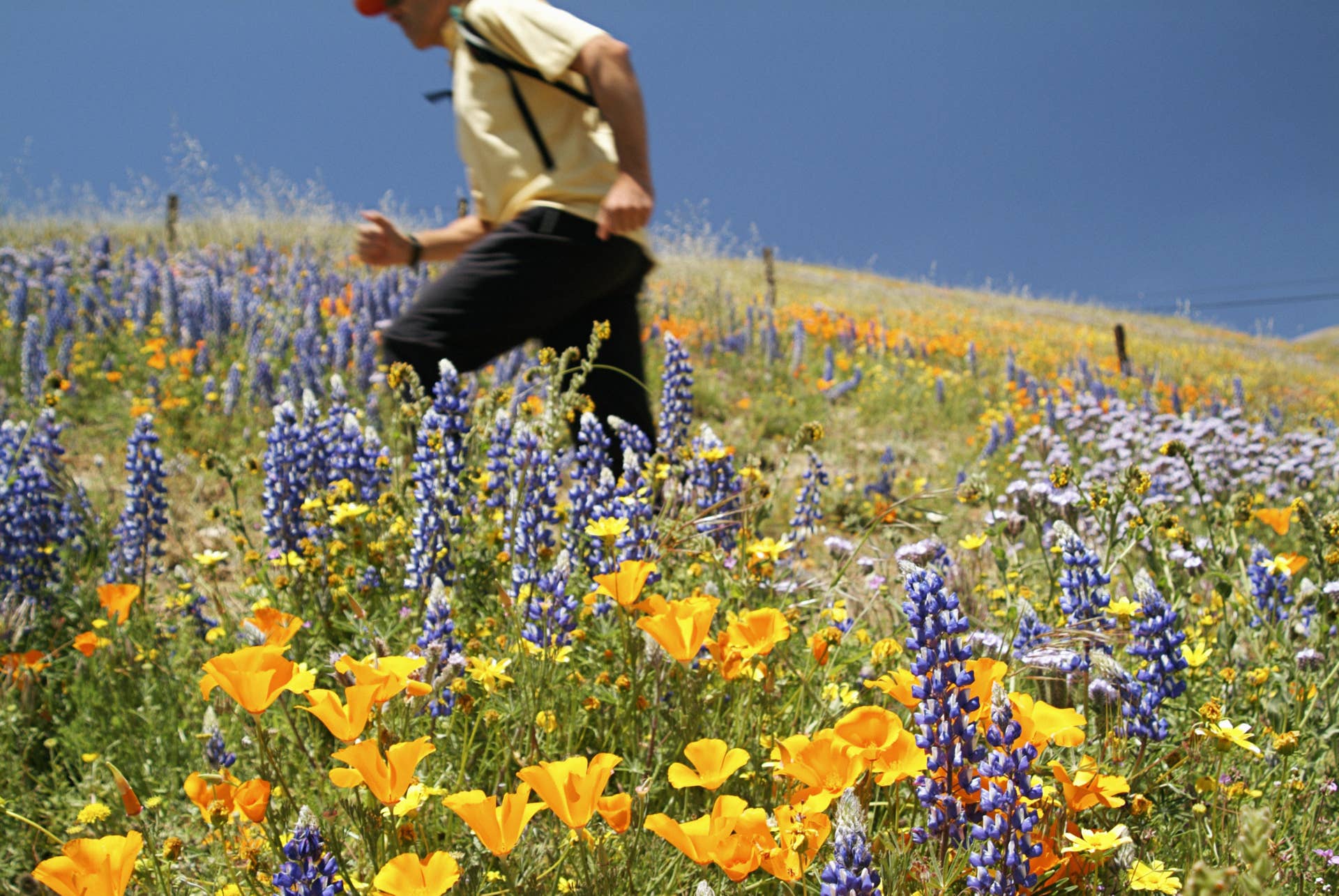 Here's When It's Finally Going To Feel Like Spring For Most of the U.S ...
