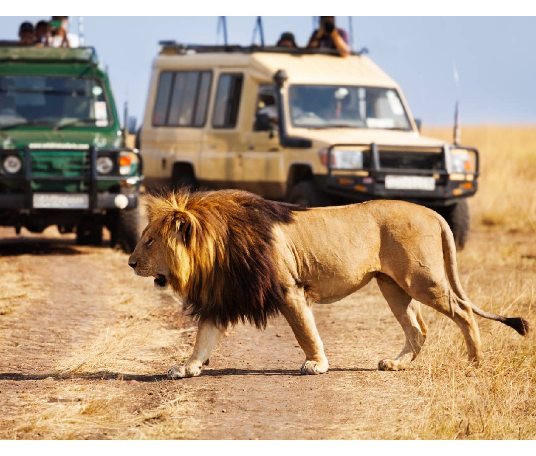 20 Best Solo Trips for Men - Men's Journal