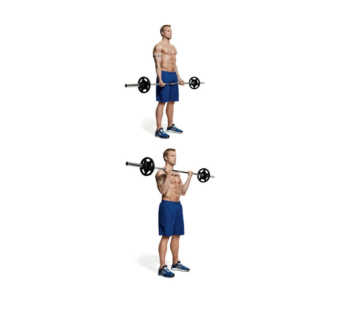 The Best Arm Exercises of 2026 for Mass and Definition - Men's Journal