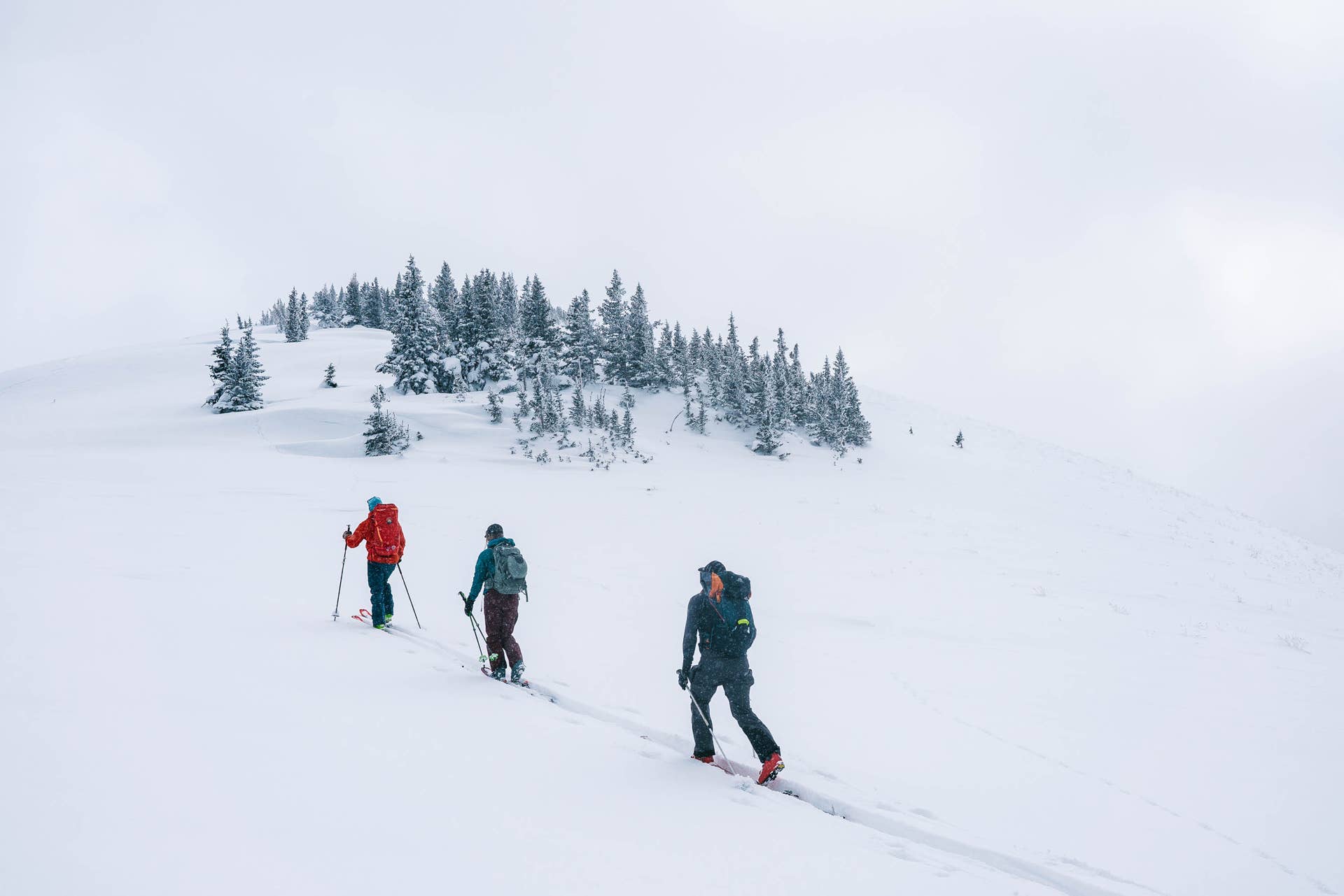Winter Storm Warning Issued for up to 24 Inches of Snow, Hazardous ...