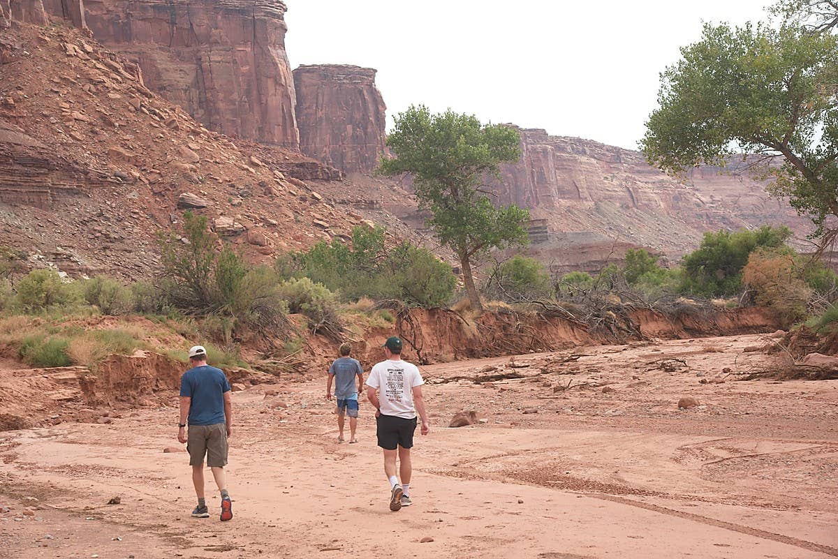 Officials Issue Strong Weather Warning After Near-Fatal Hiking Incident ...