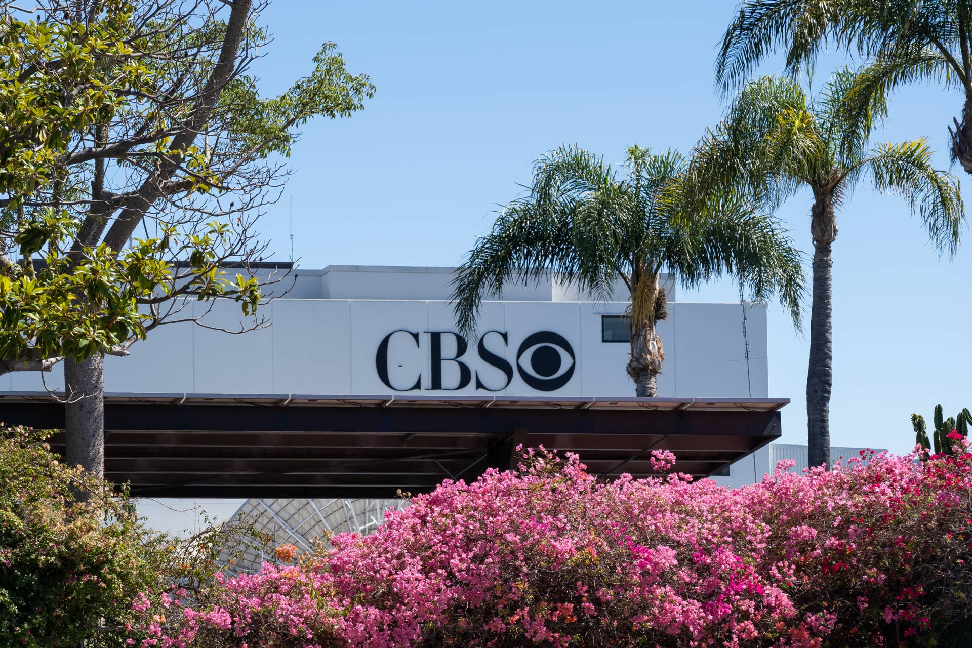 Popular News Anchor's Cause of Death Finally Revealed - Men's Journal