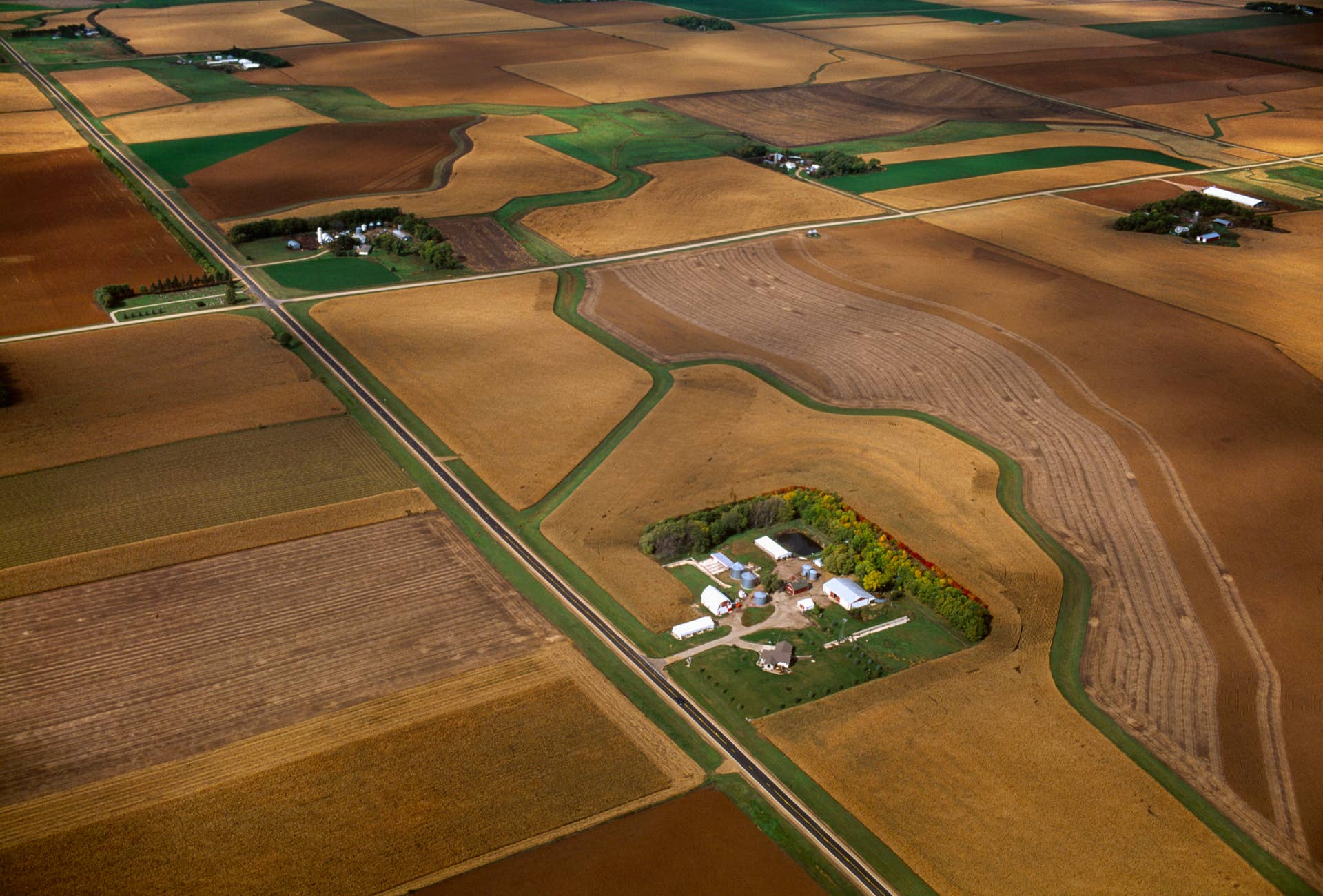 Man, 34, Killed in Horrific Farming Accident This Week - Men's Journal