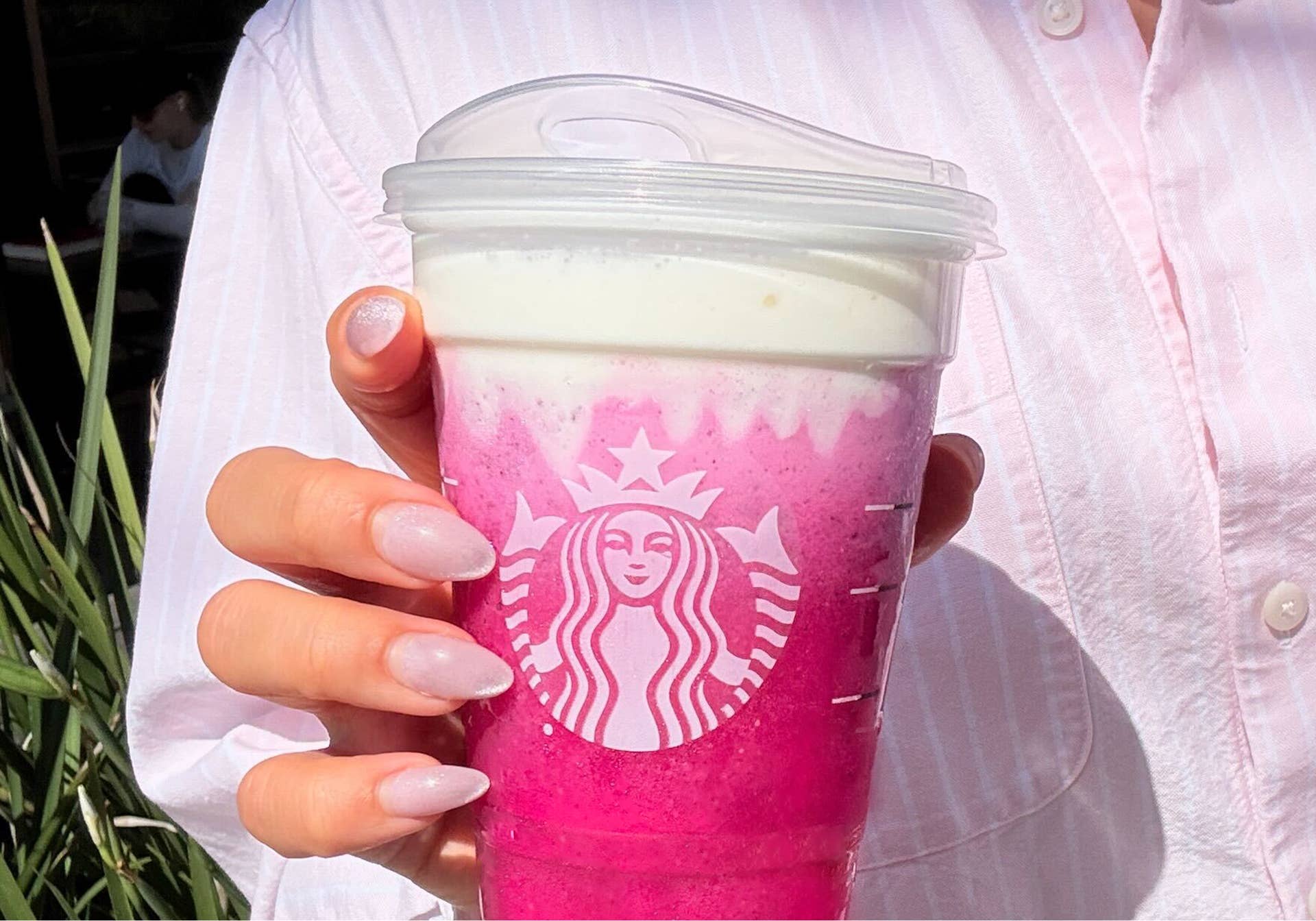 Starbucks Tweaked Their Refreshers - Do They Taste the Same? - Men's ...