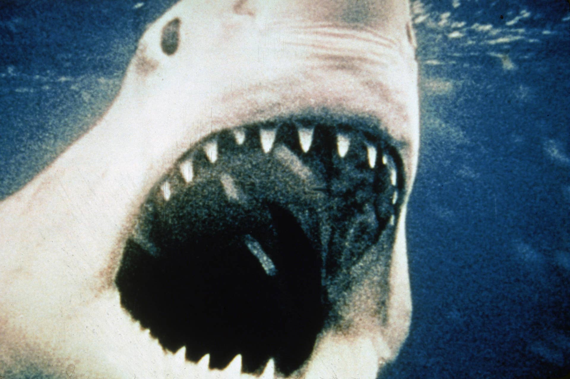 Iconic ‘Jaws’ Movie Poster Has 1 Major Mistake - Men's Journal