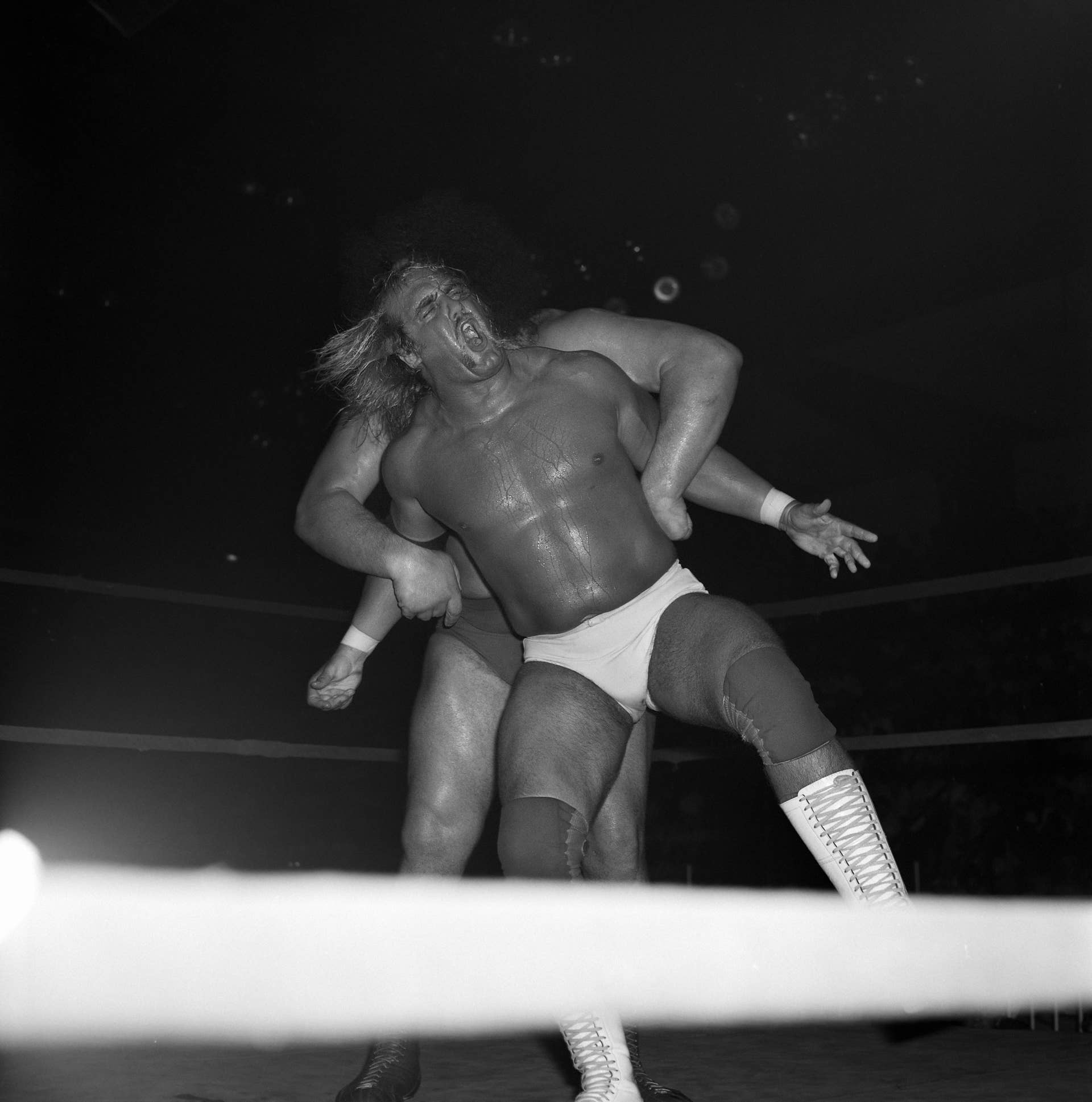 Hulk Hogan, Andre the Giant's 1988 WWF World Title Match Holds TV ...