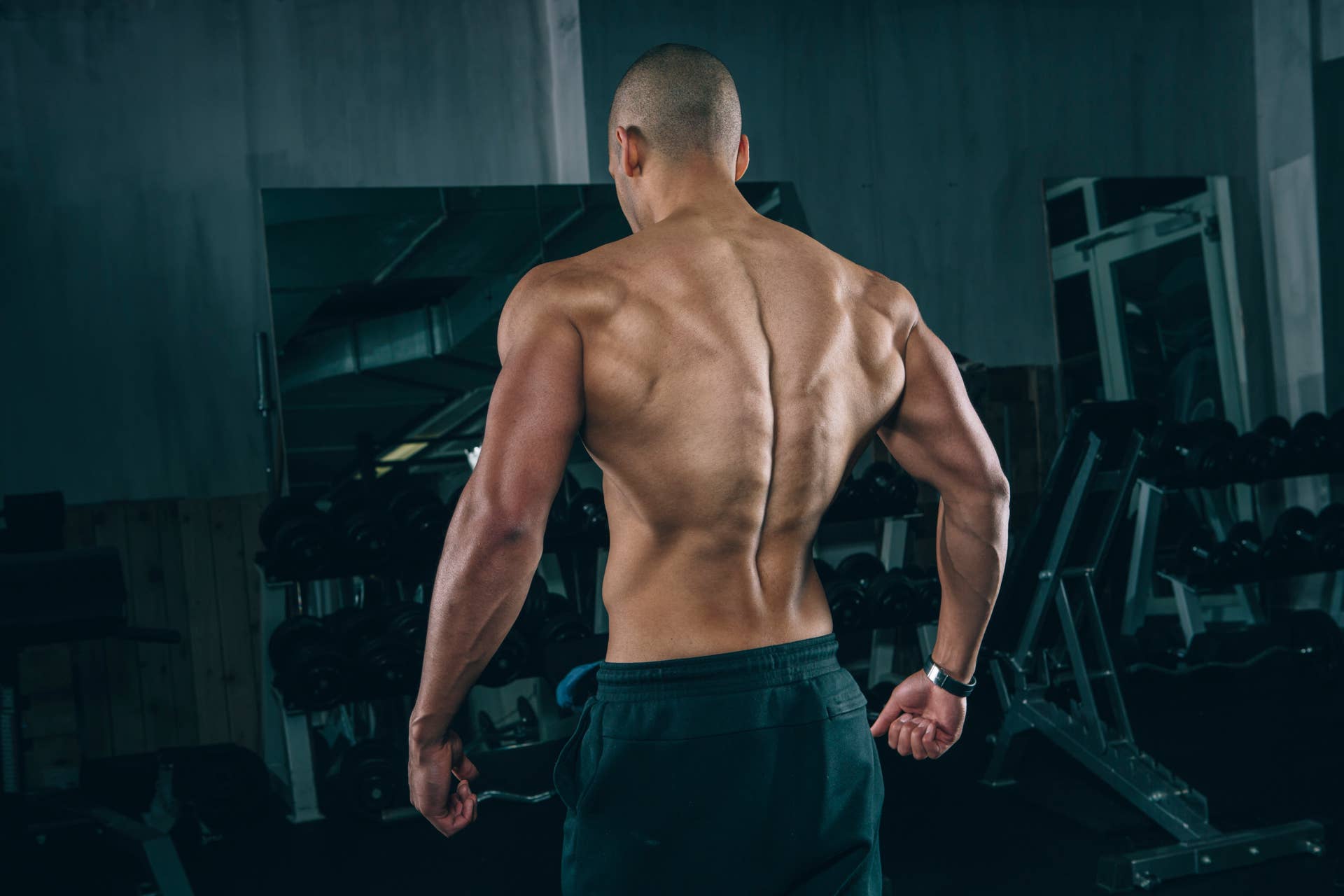 Bodybuilder Jeff Nippard Attacked by Fitness Guru Mike Van Wyck in Wild ...