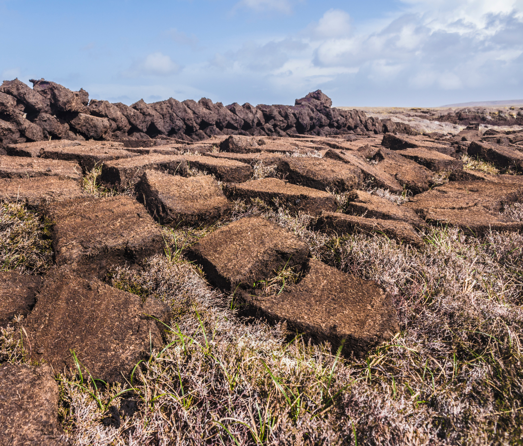 What Is Peat, and How Did it Get in My Whisky? - Men's Journal