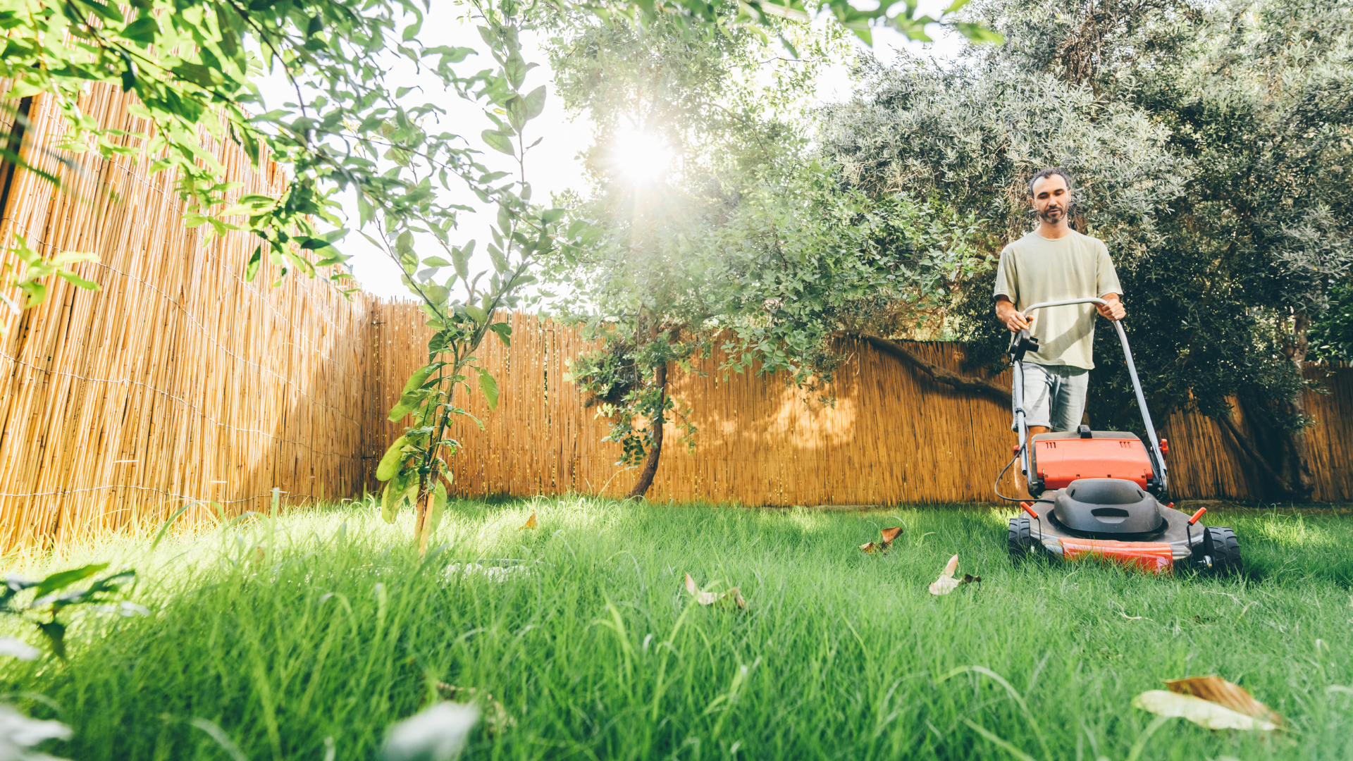 Summer Lawn Fertilizer Guide: Best Types, Timing, and Tips - Men's Journal