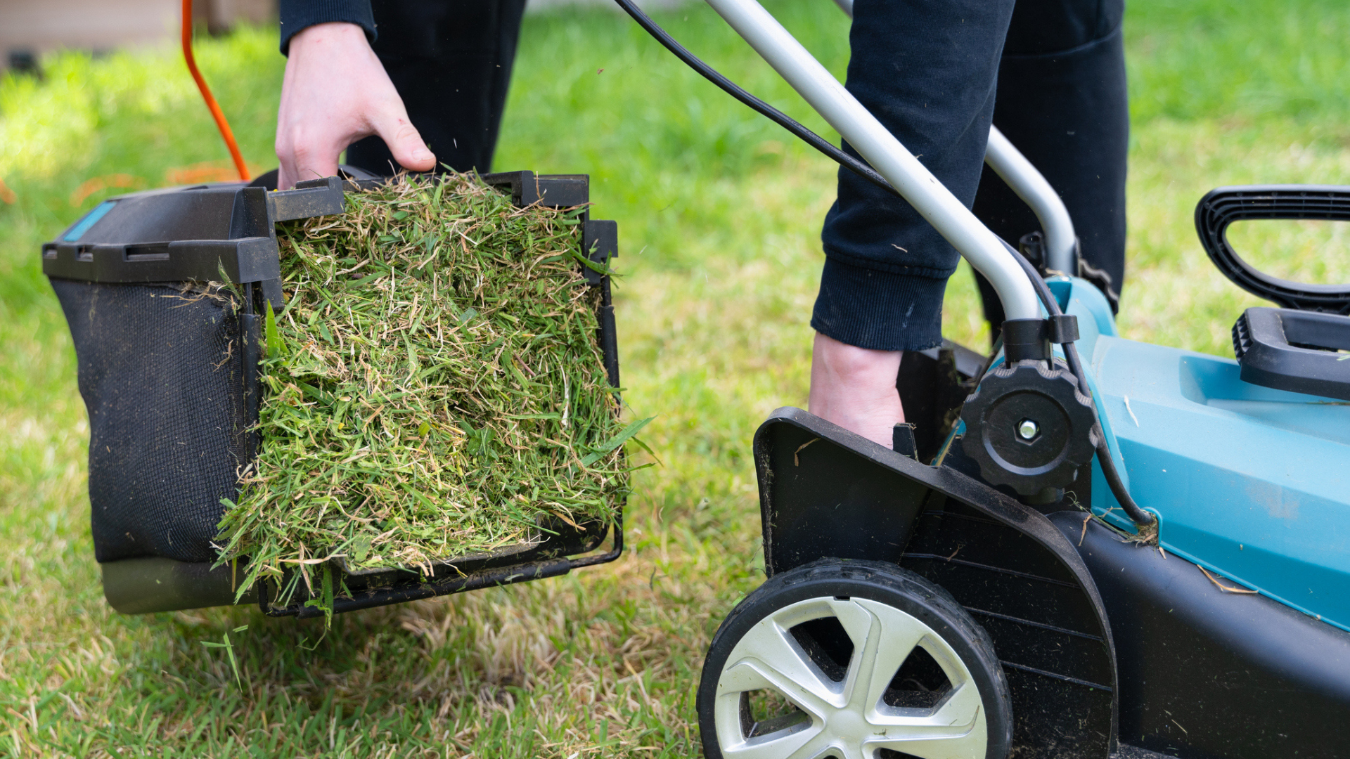 What Is a Lawn Scarifier? Scarifier Vs Dethatcher - Men's Journal