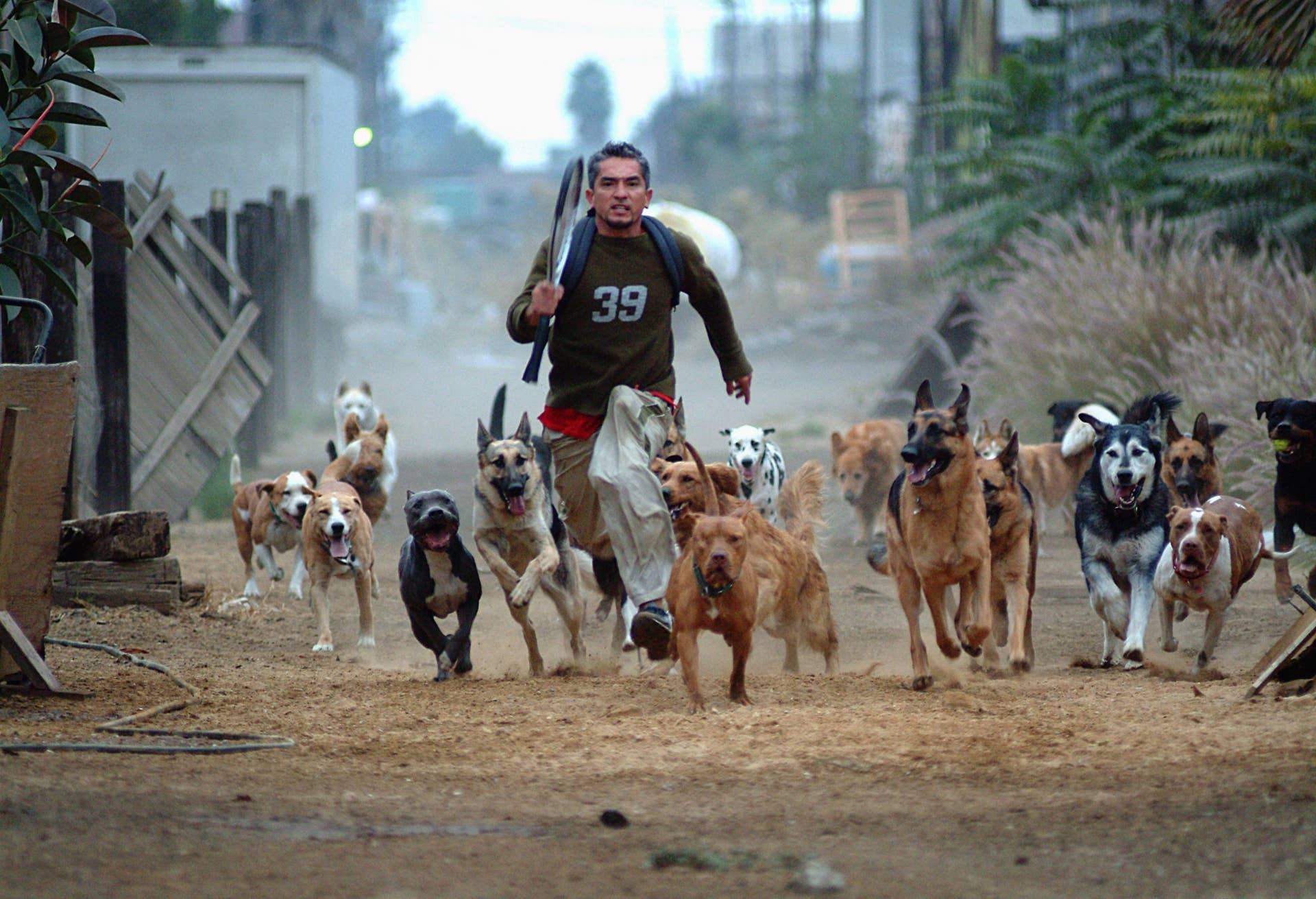 Exclusive: Dog Whisperer Cesar Millan Talks the One Dog He 'Almost ...