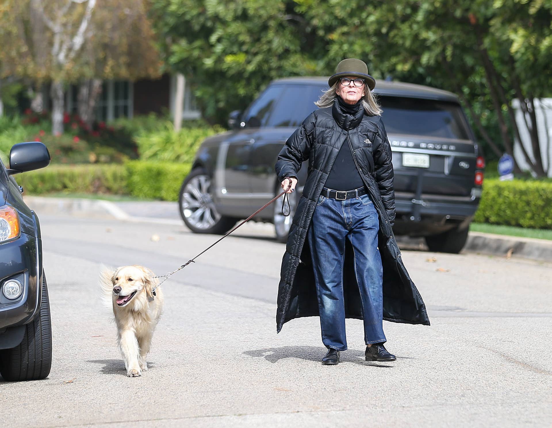 Diane Keaton's Final Social Media Post Honored Her Beloved Dog Reggie ...