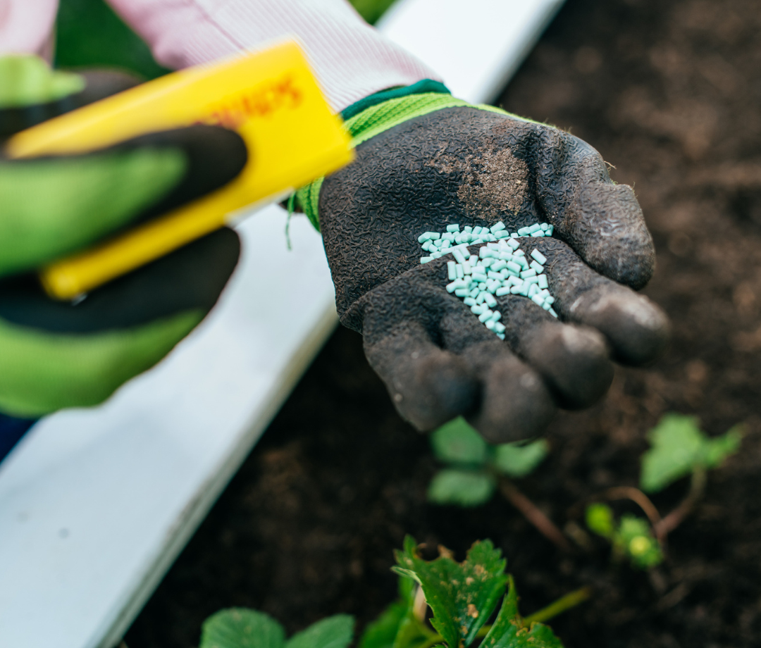 DIY Pest Control: Get Rid of Ants, Roaches, Spiders, & Mice - Men's Journal