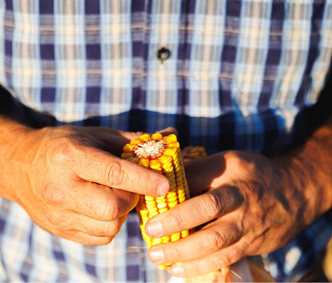America’s Most Unexpected State for Great Whiskey - Men's Journal