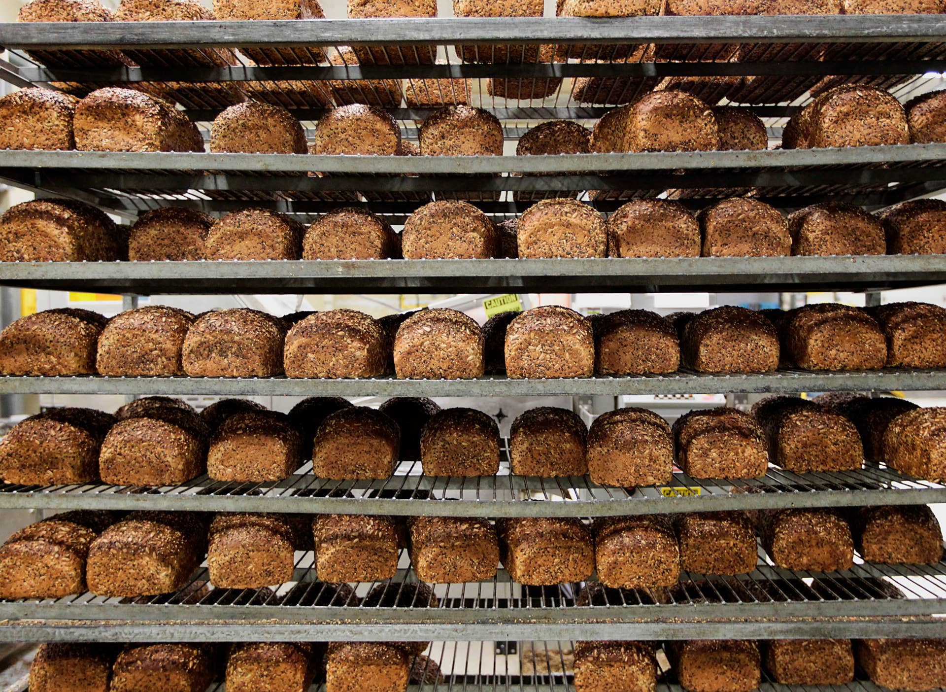 Dave’s Killer Bread Launches New Breakfast Bars and Snacks - Men's Journal