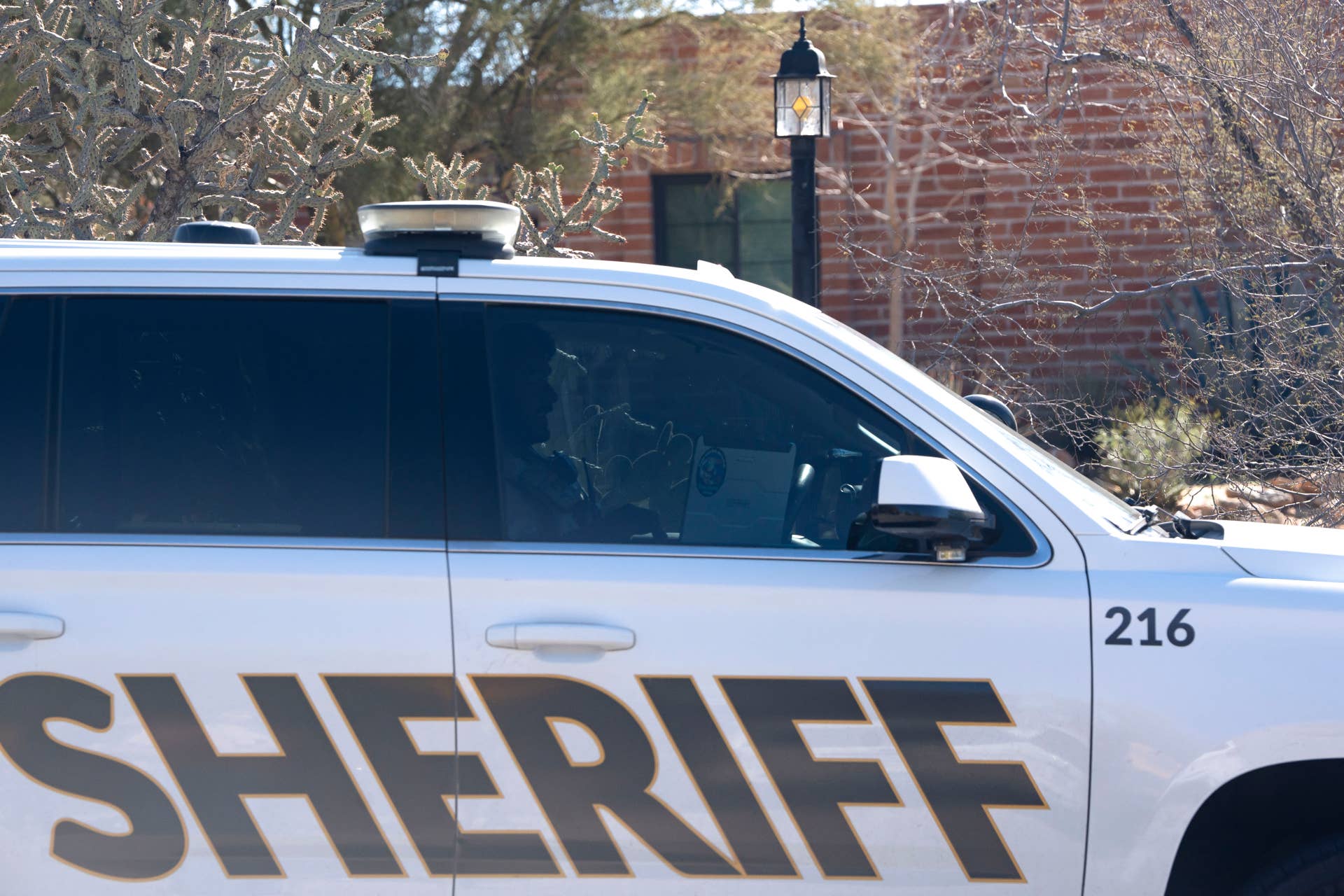 Nancy Guthrie Update: Person 'Detained for Questioning' in Rio Rico ...
