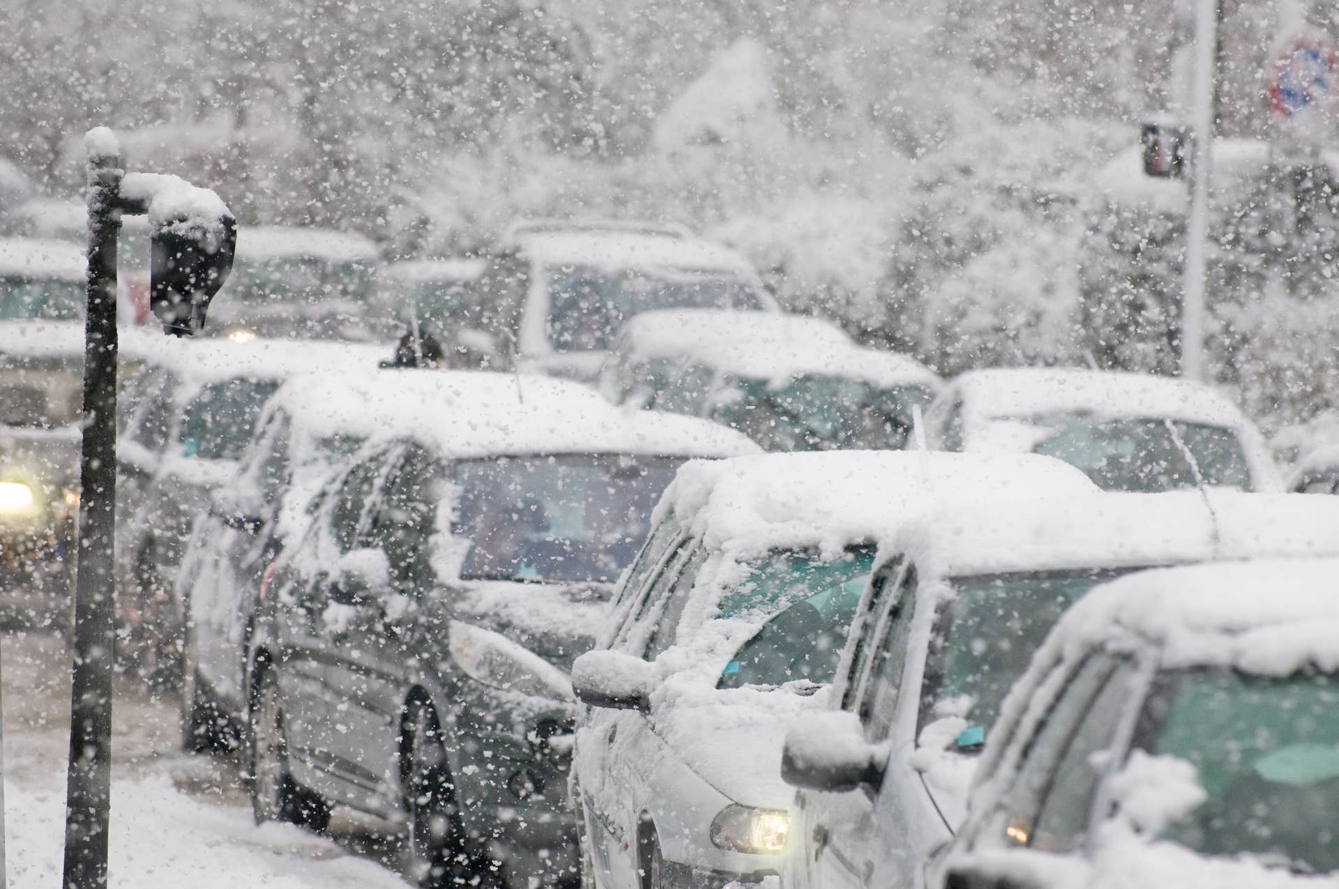 'Stay Home' Warning Issued for 8 Million People as 24 Inches of Snow ...