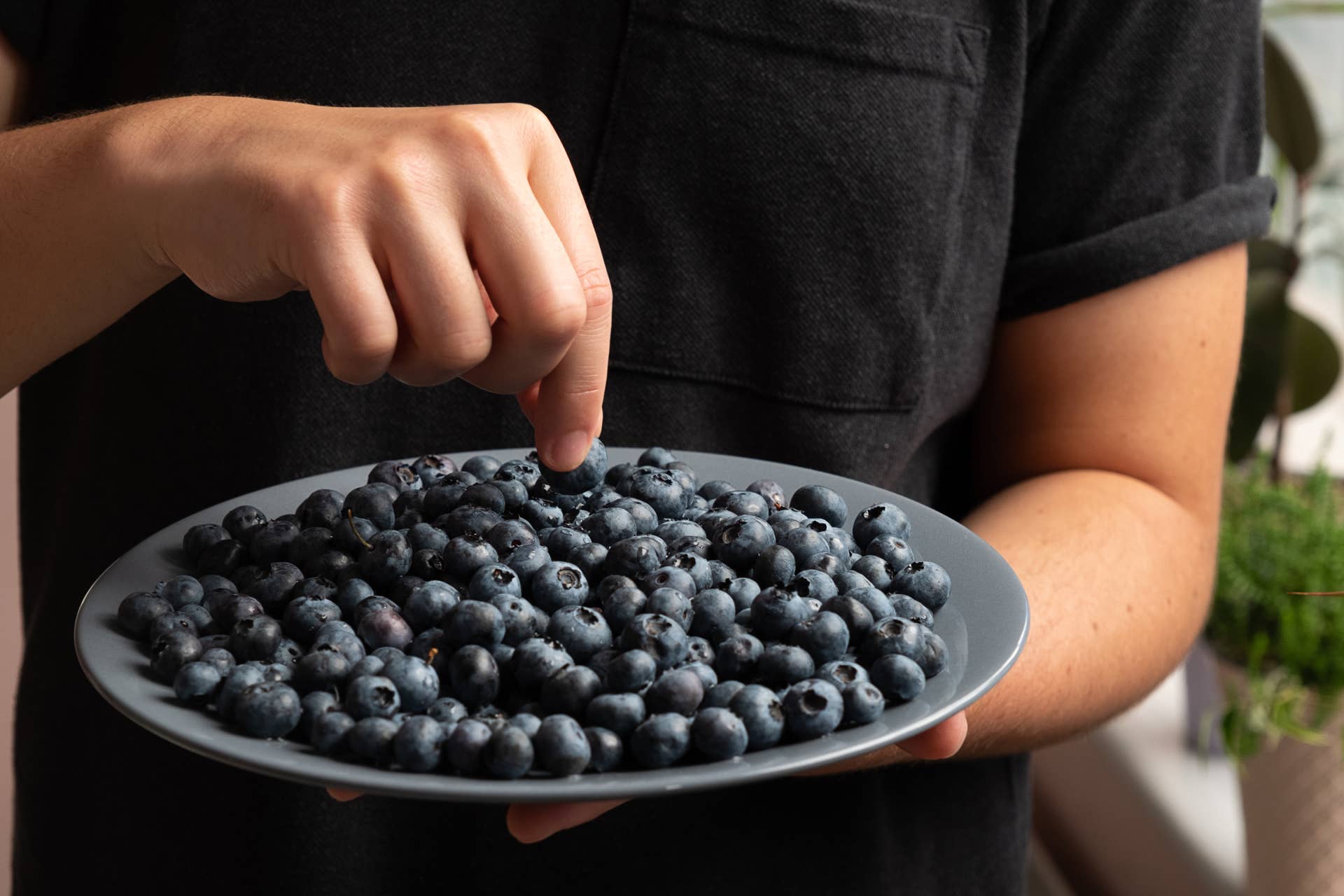 FDA Recall Blueberries in Four States - Men's Journal