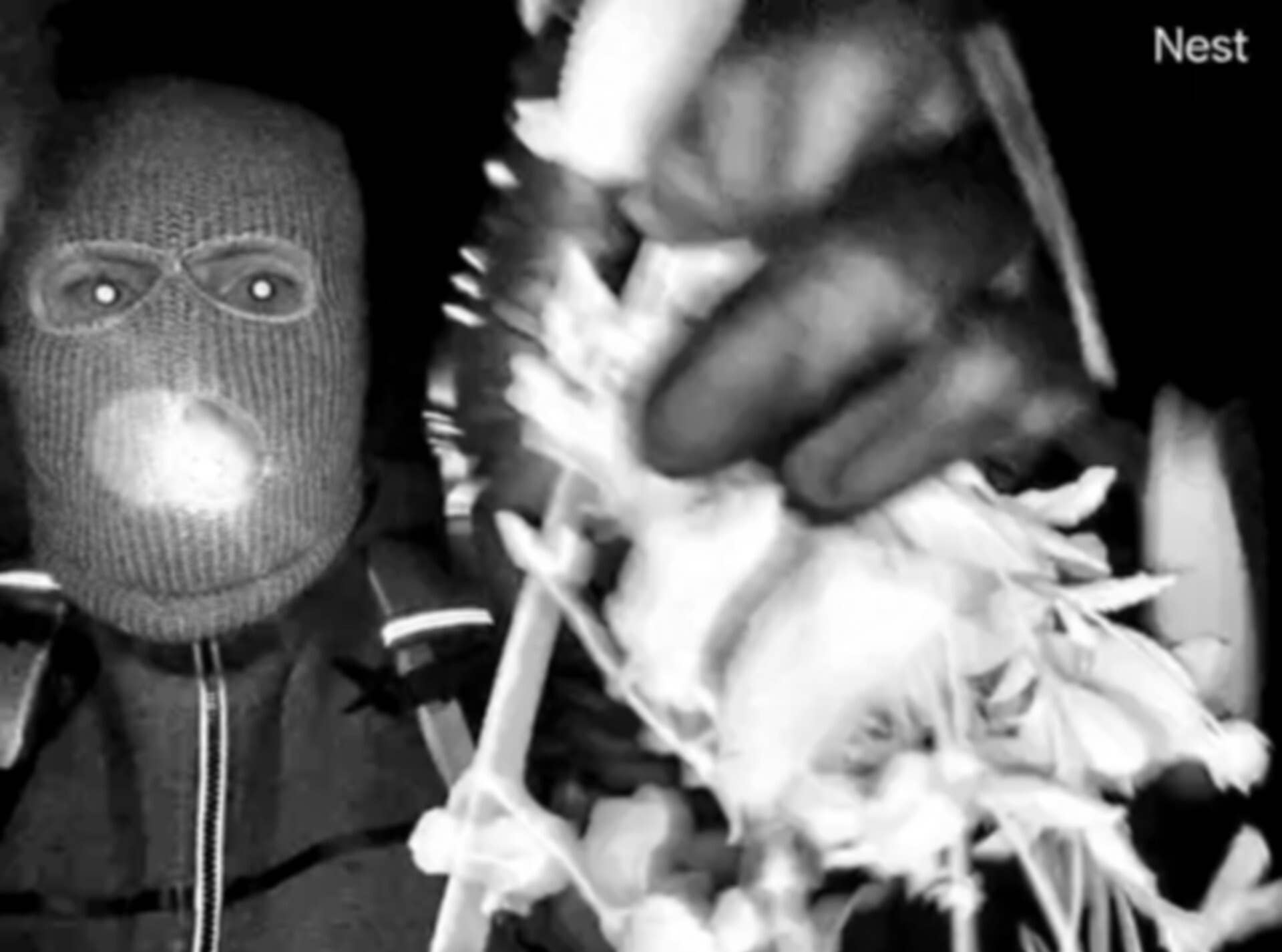 Nancy Guthrie Update: Investigators Probe Terrifying New Theory - Men's ...