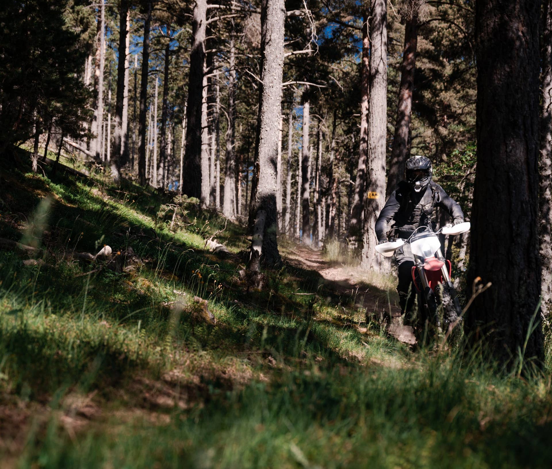 Stark Varg EX Review: 80-HP Electric Enduro Specs and Price - Men's Journal