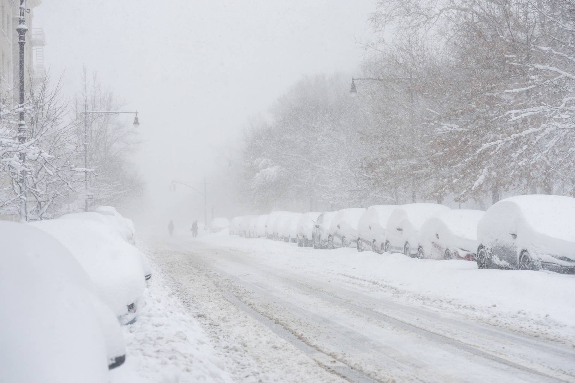 National Weather Service Issues Travel Warning as Blizzard Conditions ...