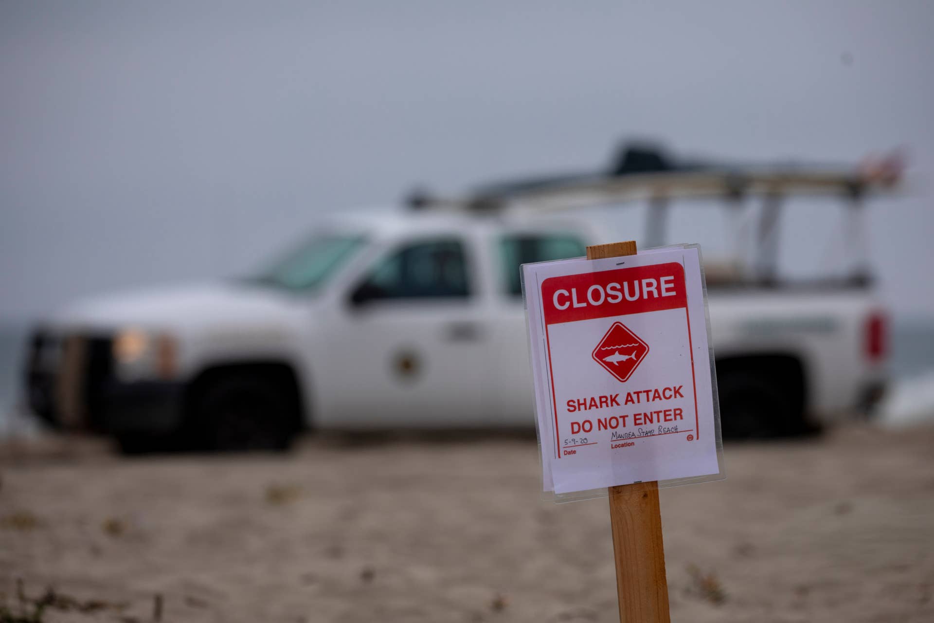 Surfer Seriously Injured in Shark Attack Off California Coast - Men's ...