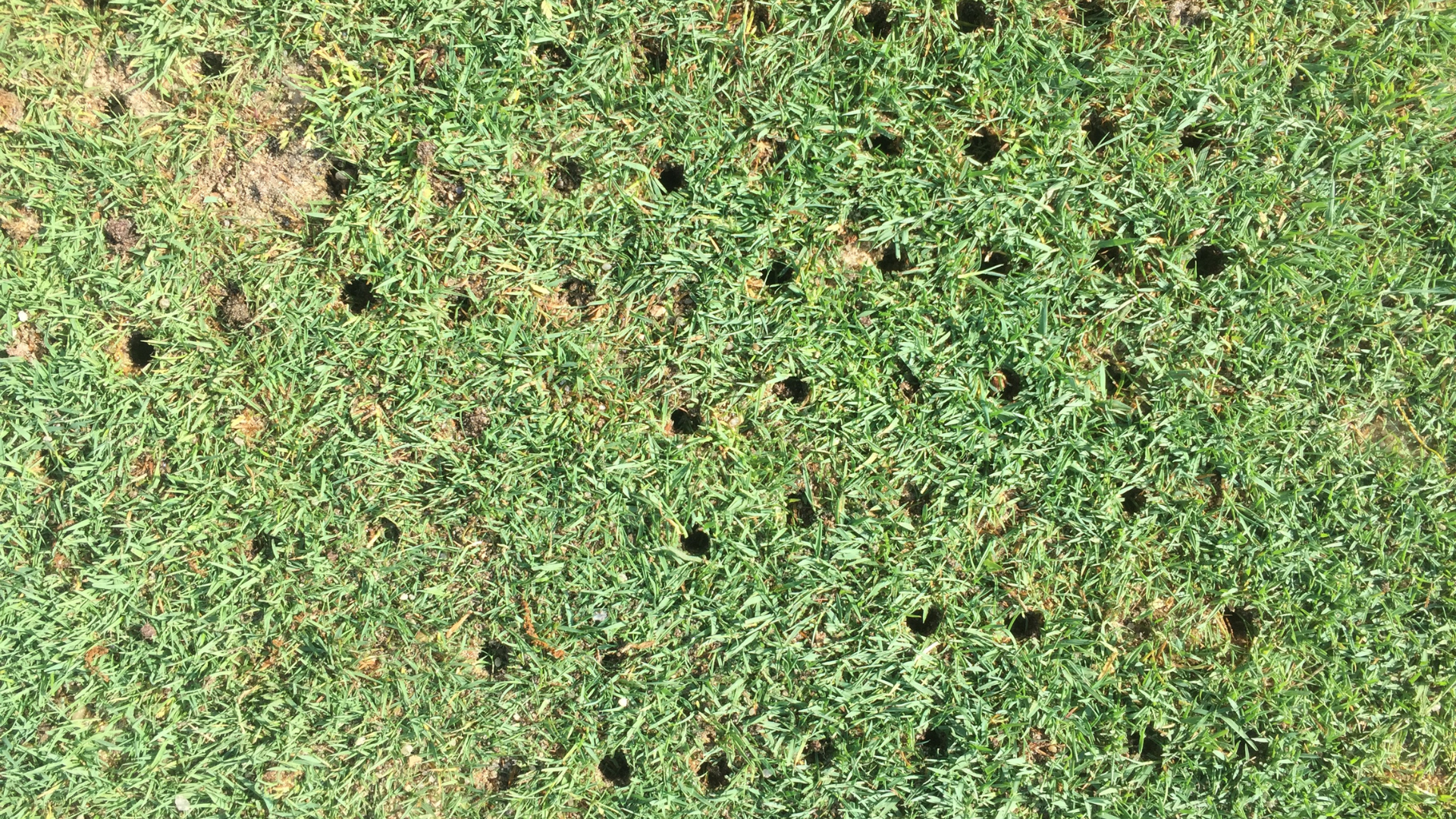 Spring Lawn Aeration: Best Time to Aerate Lawn - Men's Journal