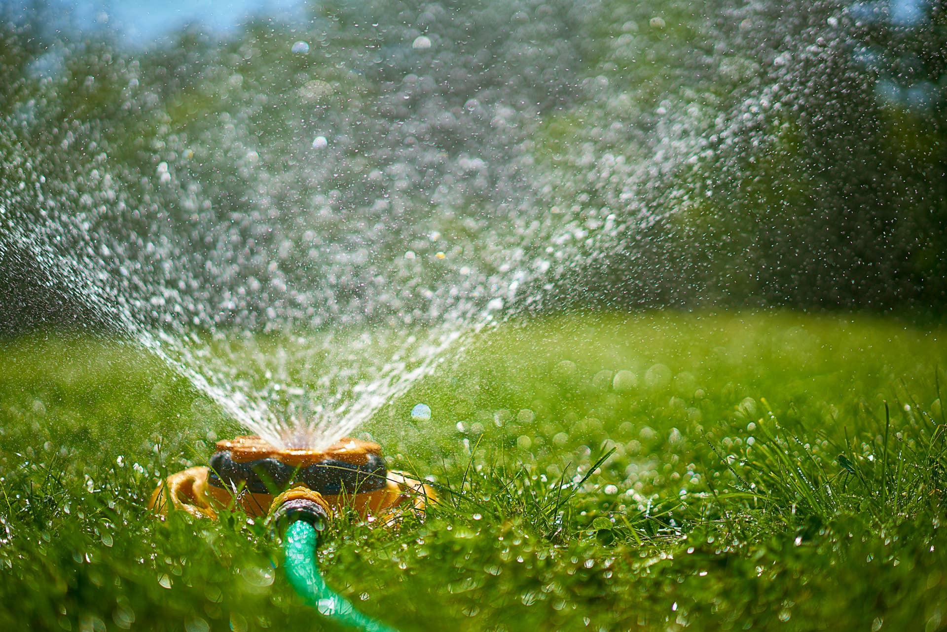 This Overlooked Spring Task Can Lead to Expensive Home Damage - Men's ...