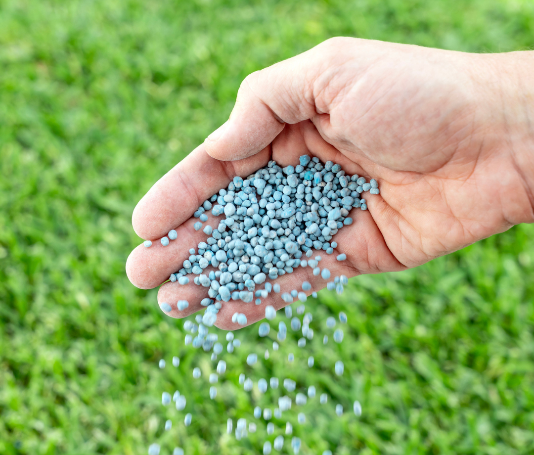 How Often Can You Fertilize Your Lawn