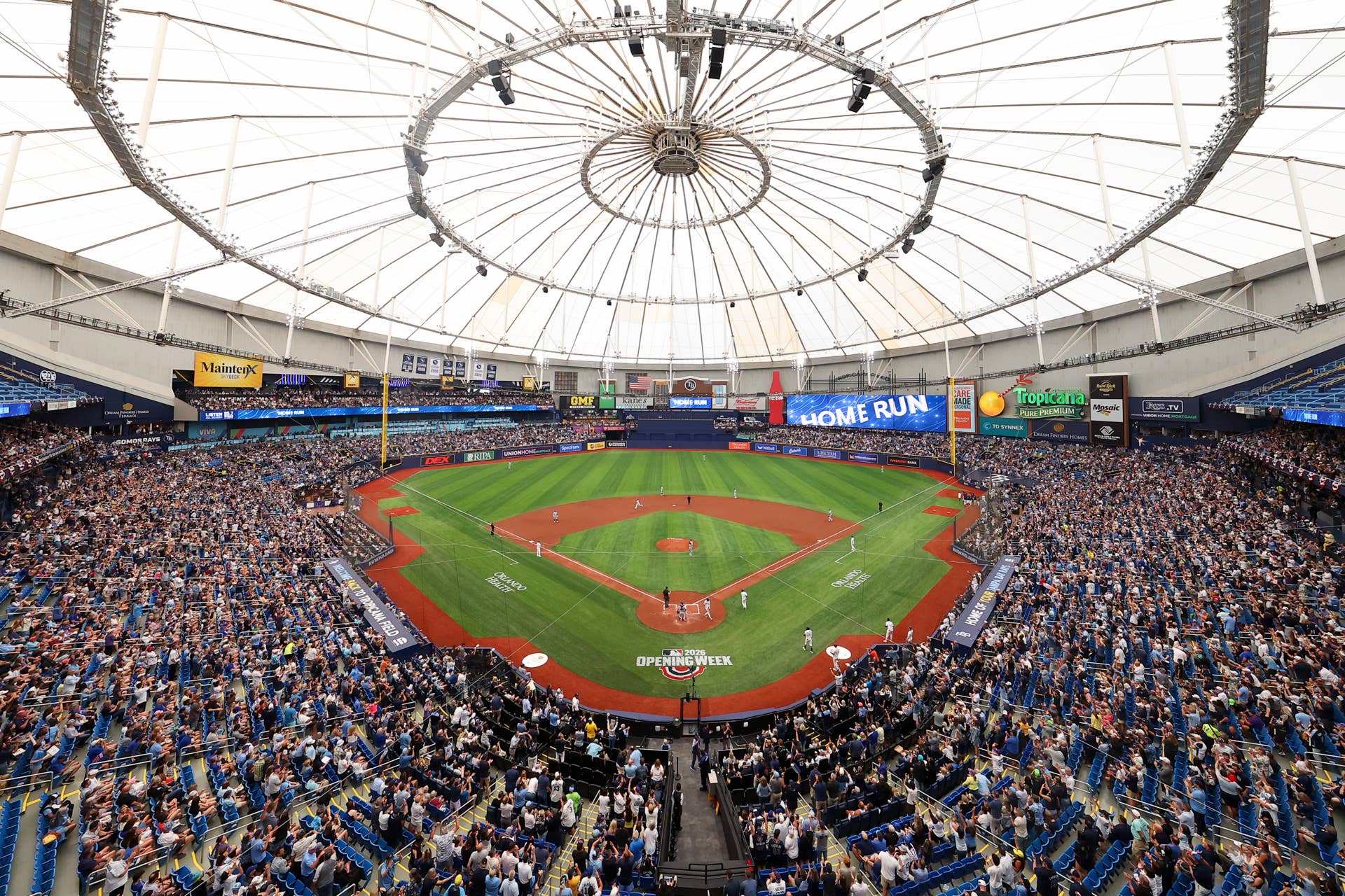 MLB Fan Accidentally Moons Entire Stadium Trying to Catch Foul Ball ...