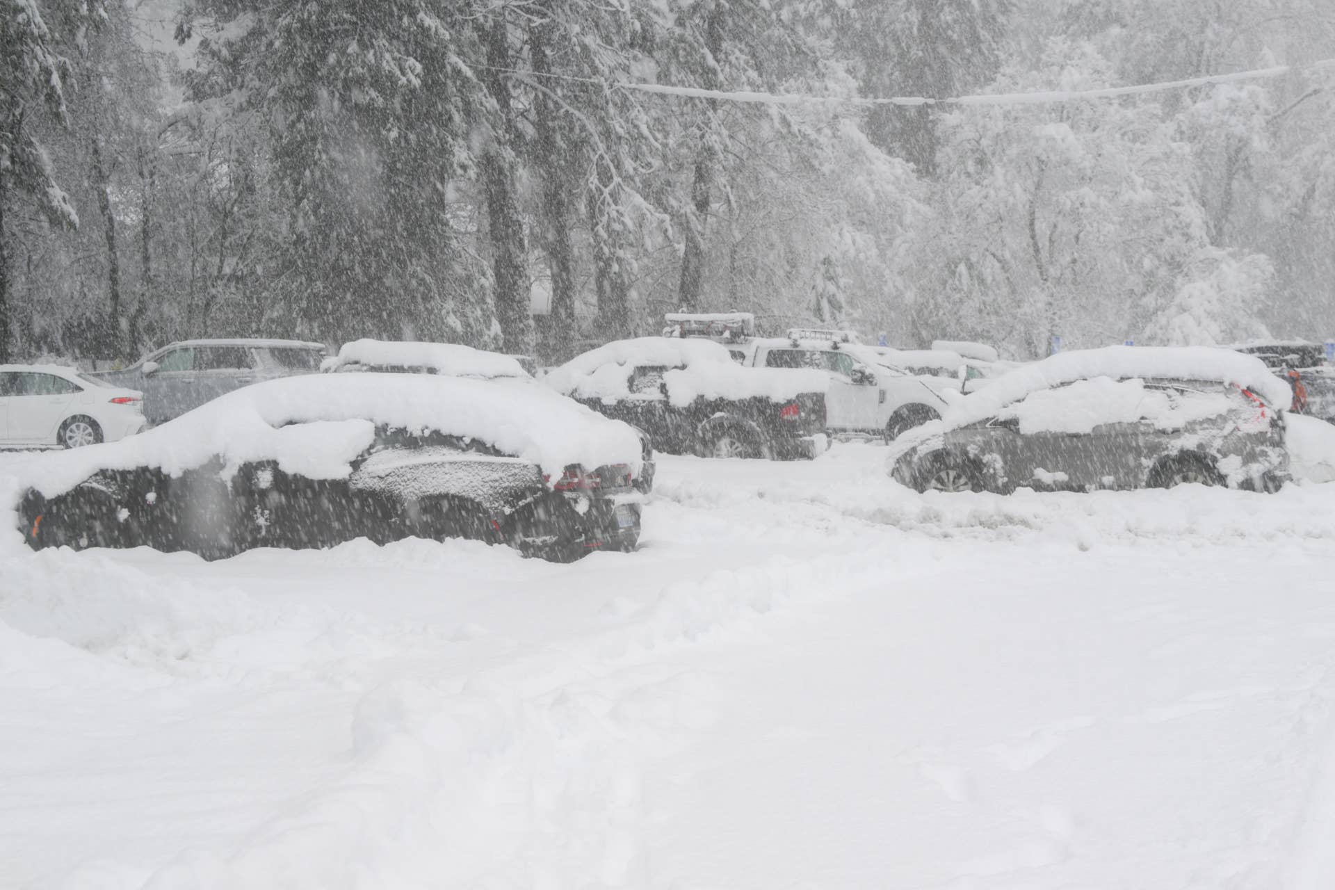 Winter Storm Forecast Calls for Up to 11 Inches Snow and 45 Mph Winds ...