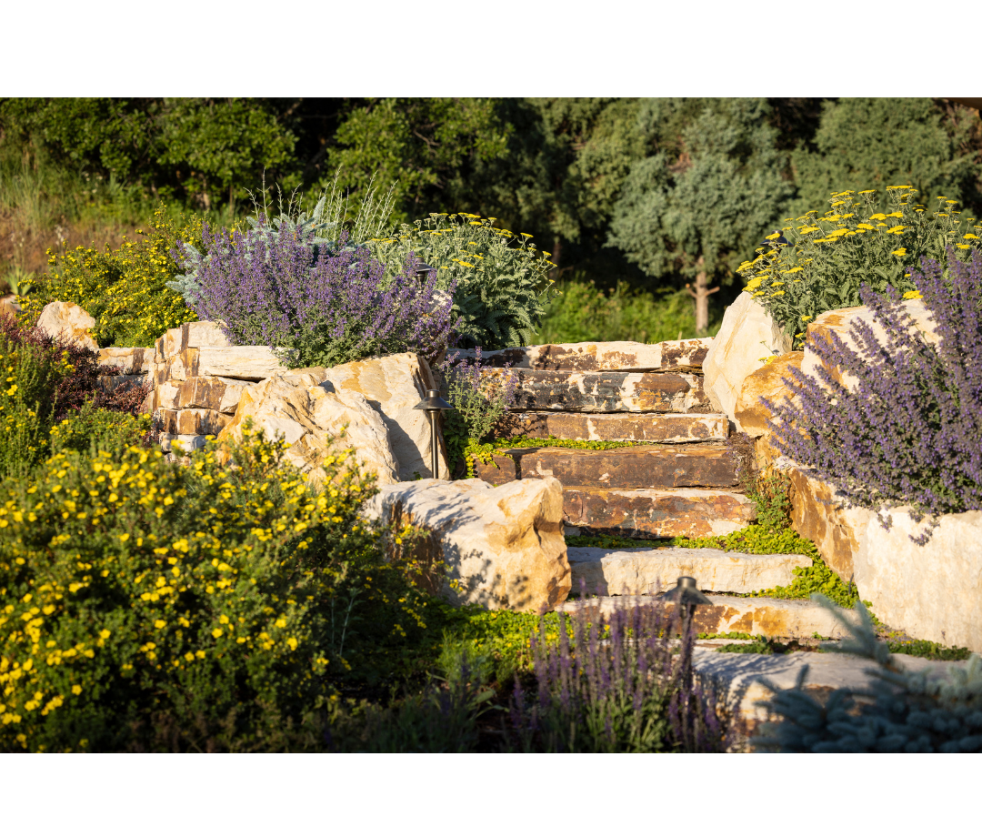Xeriscape Ideas: Front Yard, Backyard, & Small Space Designs - Men's ...