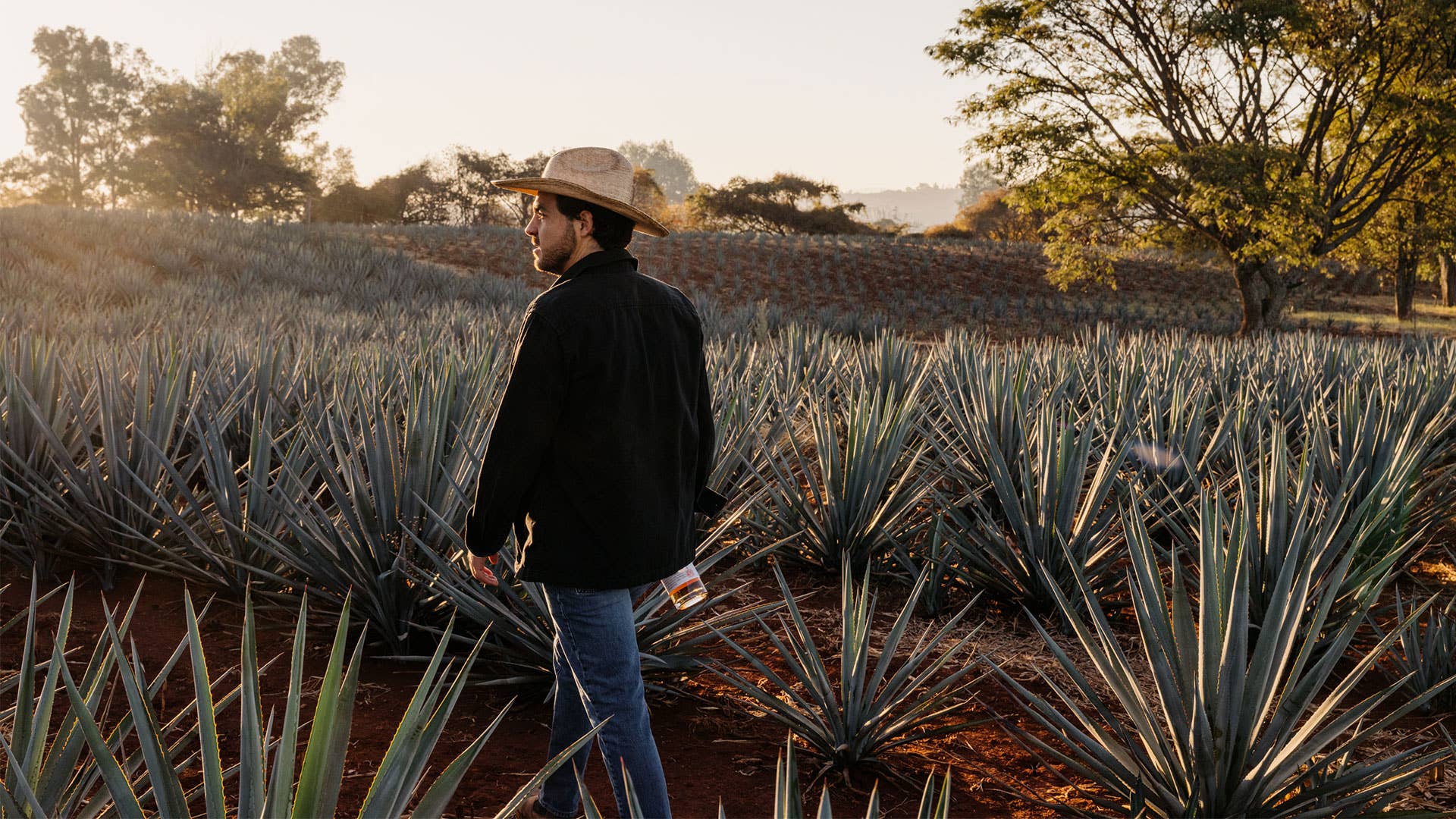 Meet the Distiller Trying to Fix Tequila's Agave Problem - Men's Journal