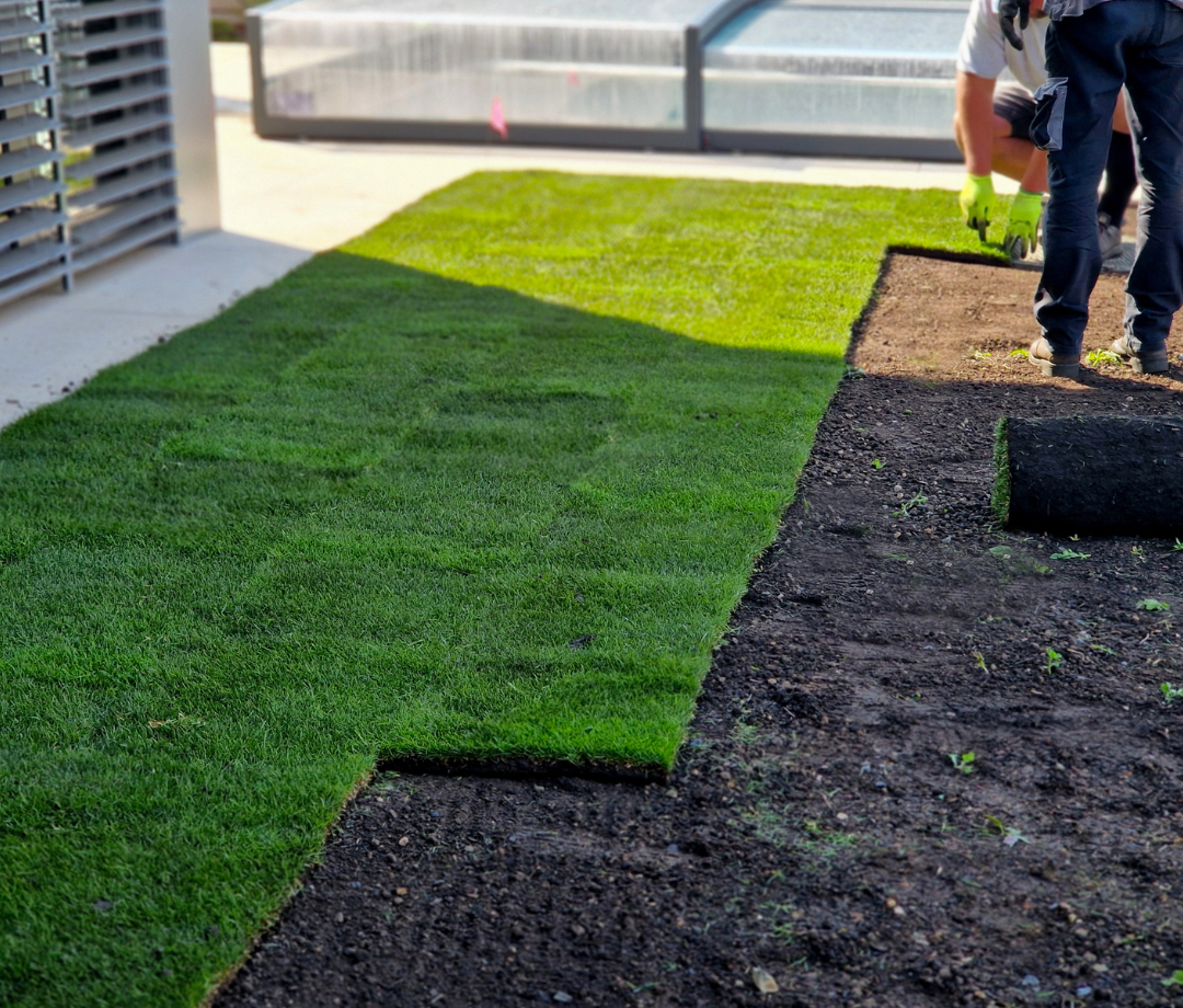 Sod vs. Seed: Lawn Installation Pros, Cons, and Timing - Men's Journal