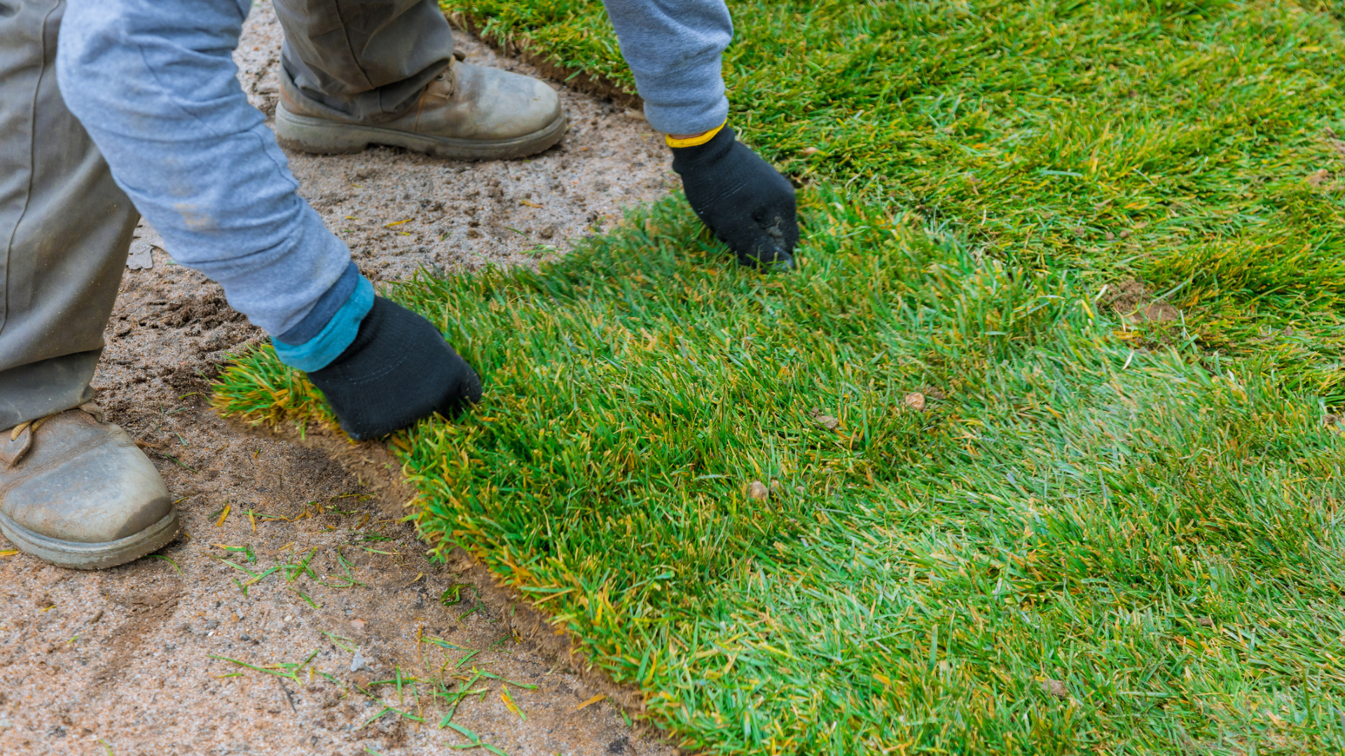 Sod vs. Seed: Lawn Installation Pros, Cons, and Timing - Men's Journal