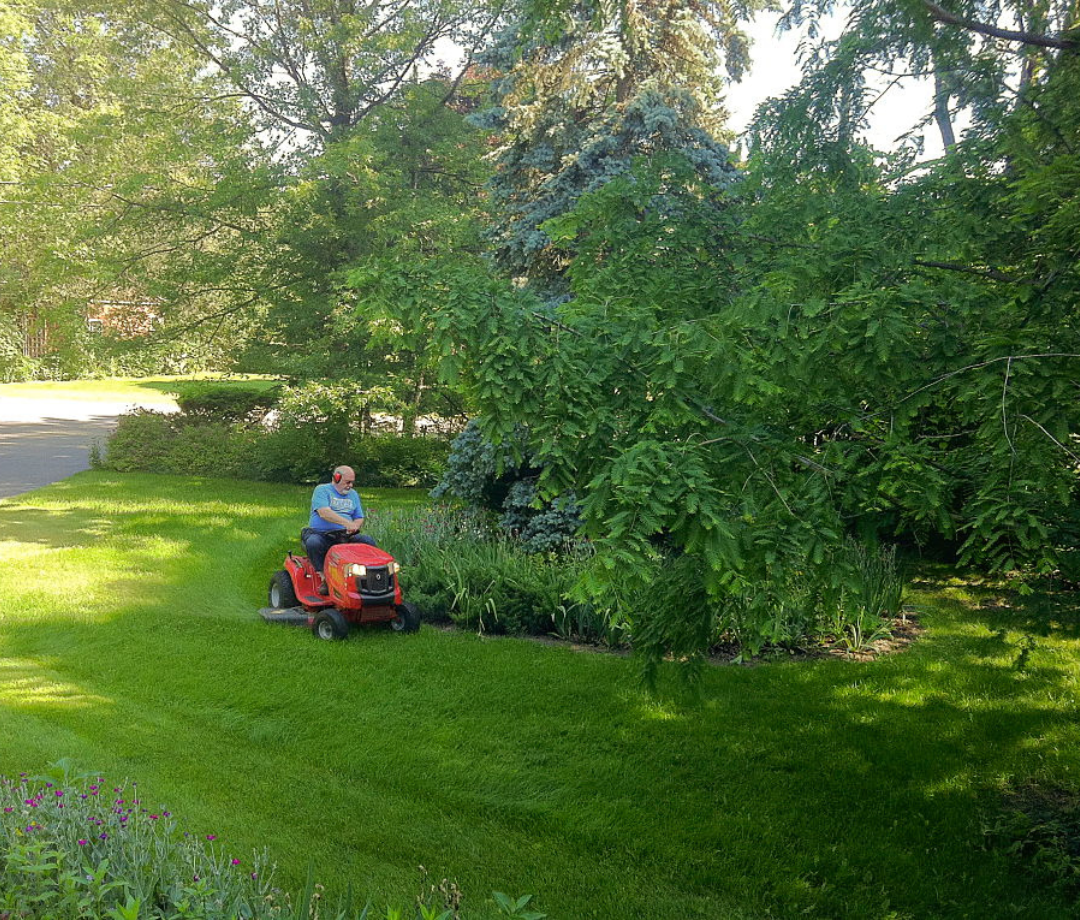 How to Sharpen Lawn Mower Blades at Home: Step-by-Step Guide - Men's ...