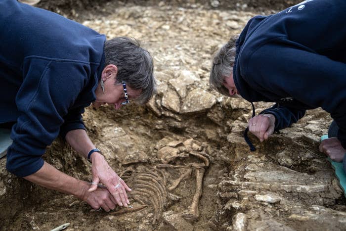 Rare Anglo‑Saxon Double Burial Reveals Tragic Family Story - Men's Journal