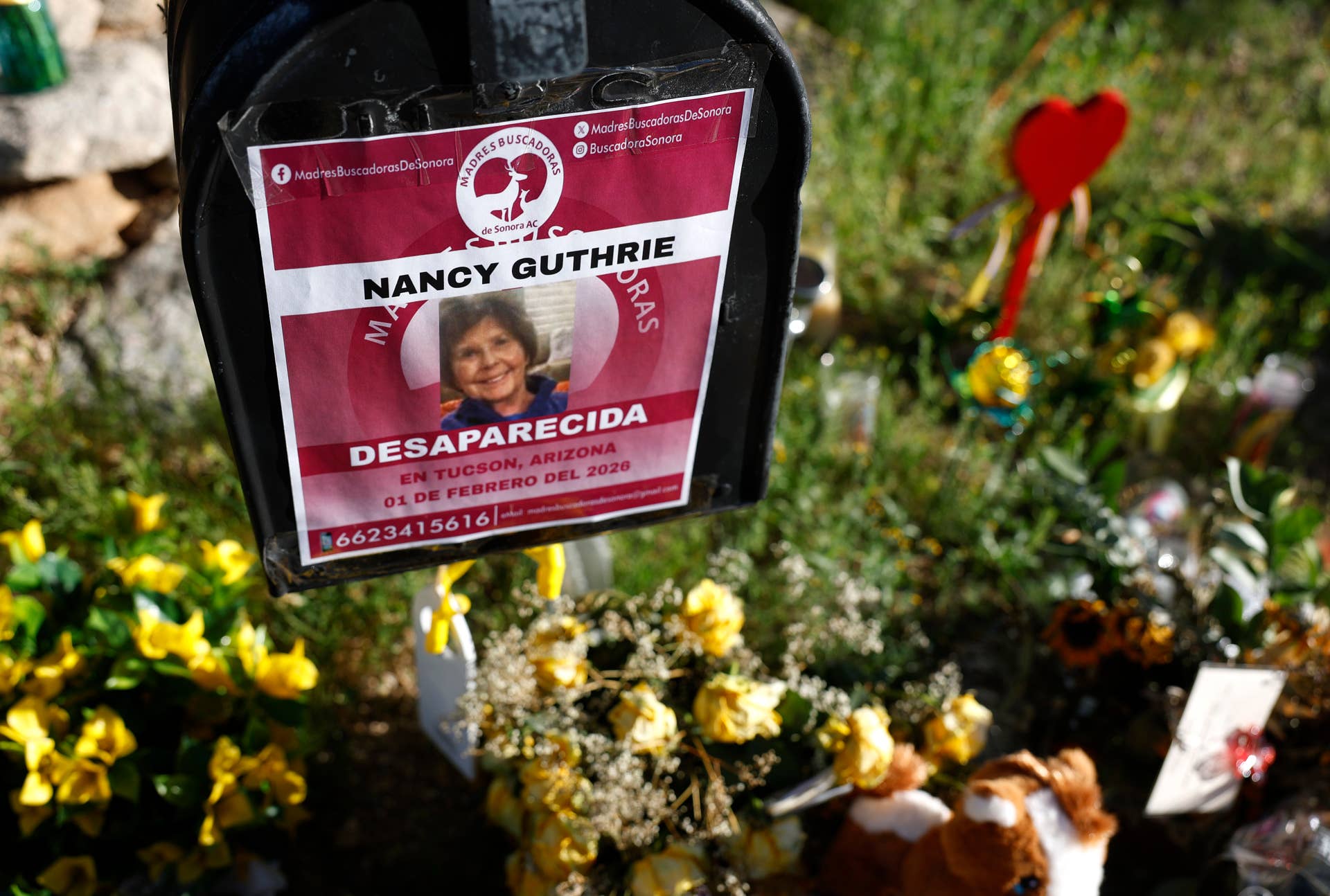 Nancy Guthrie Case Bombshell: New Evidence Has Experts Suddenly Saying ...