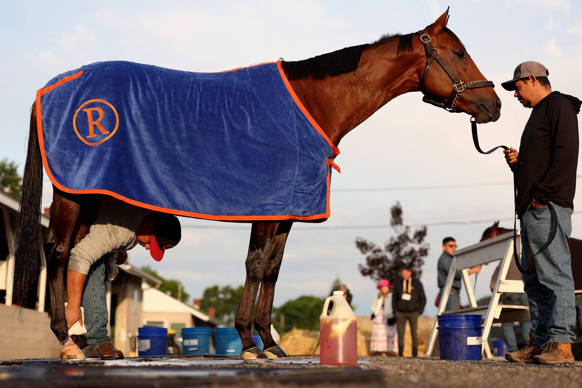 Renegade Horse: Jockey, Owner, Pedigree & Trainer for Kentucky Derby ...