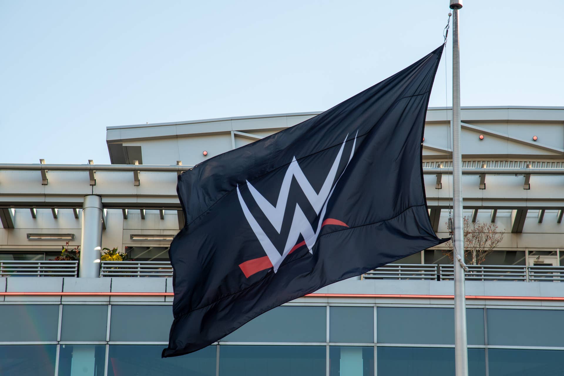 Backstage Details: Why WWE Released Nearly 30 Superstars in Post ...