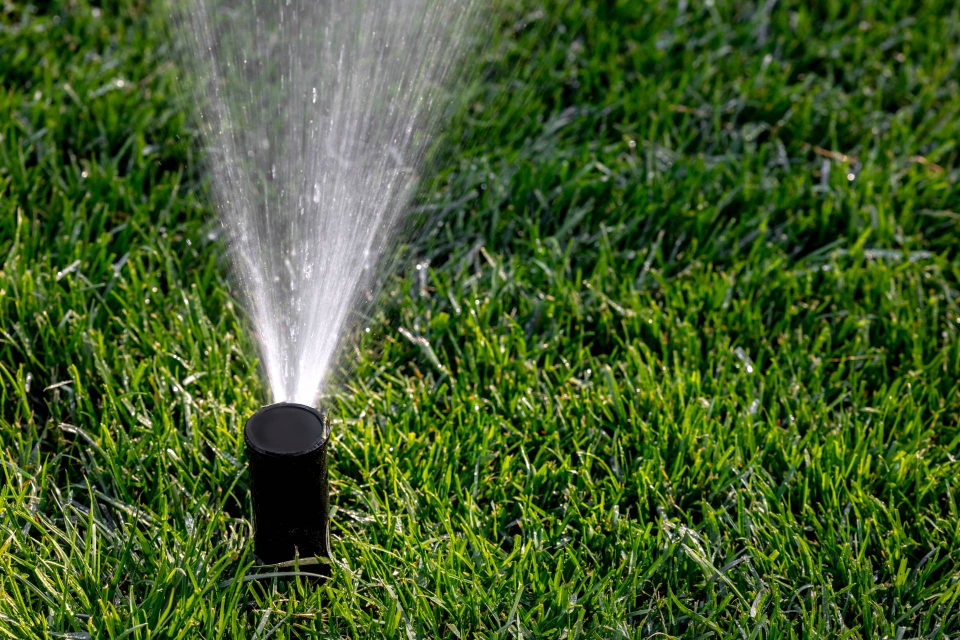 How to Make Your Lawn Green: Expert Tips for Healthier Grass - Men's ...