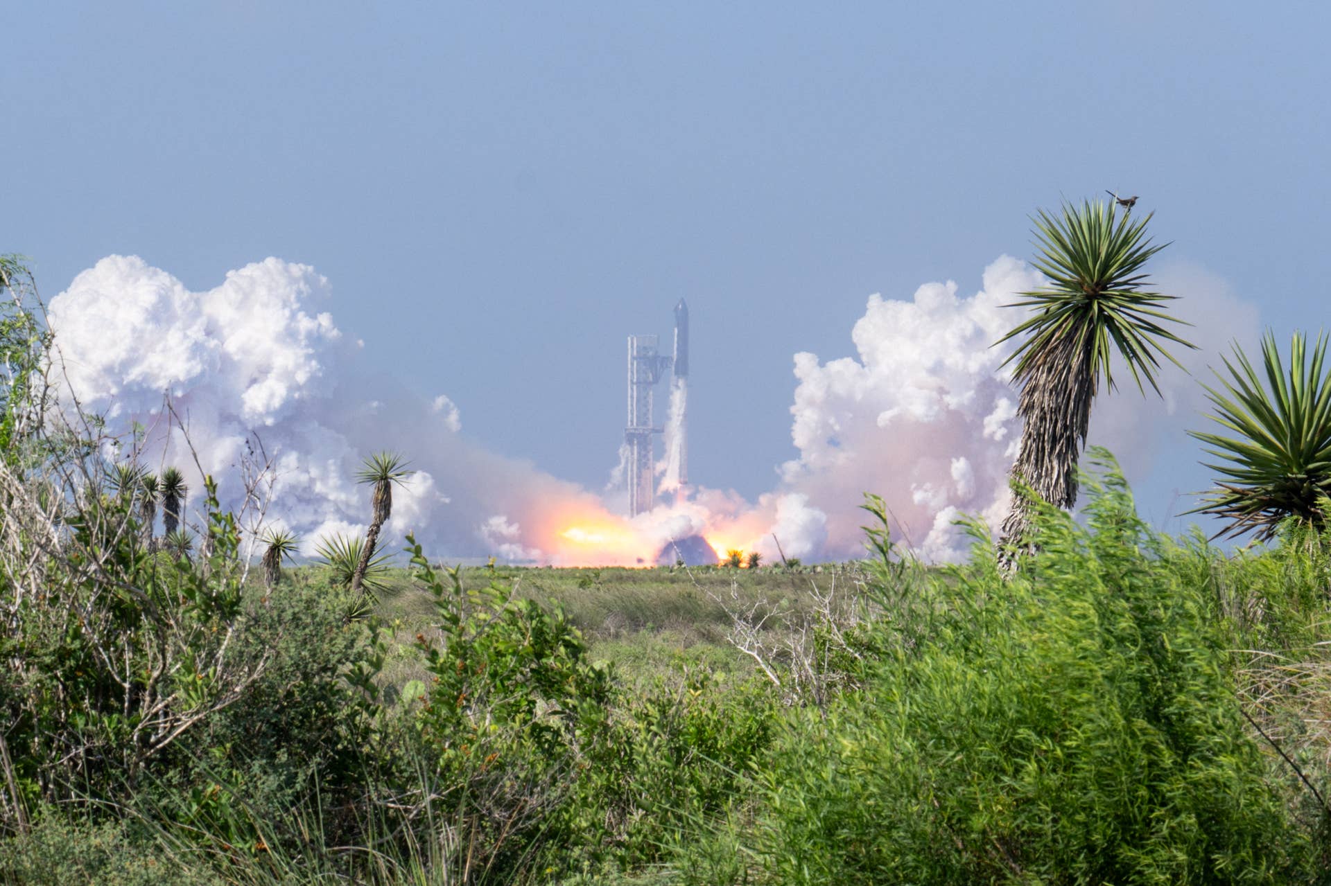 WATCH: Stunning Video Shows SpaceX's Starship V3's Fiery Landing - Men ...
