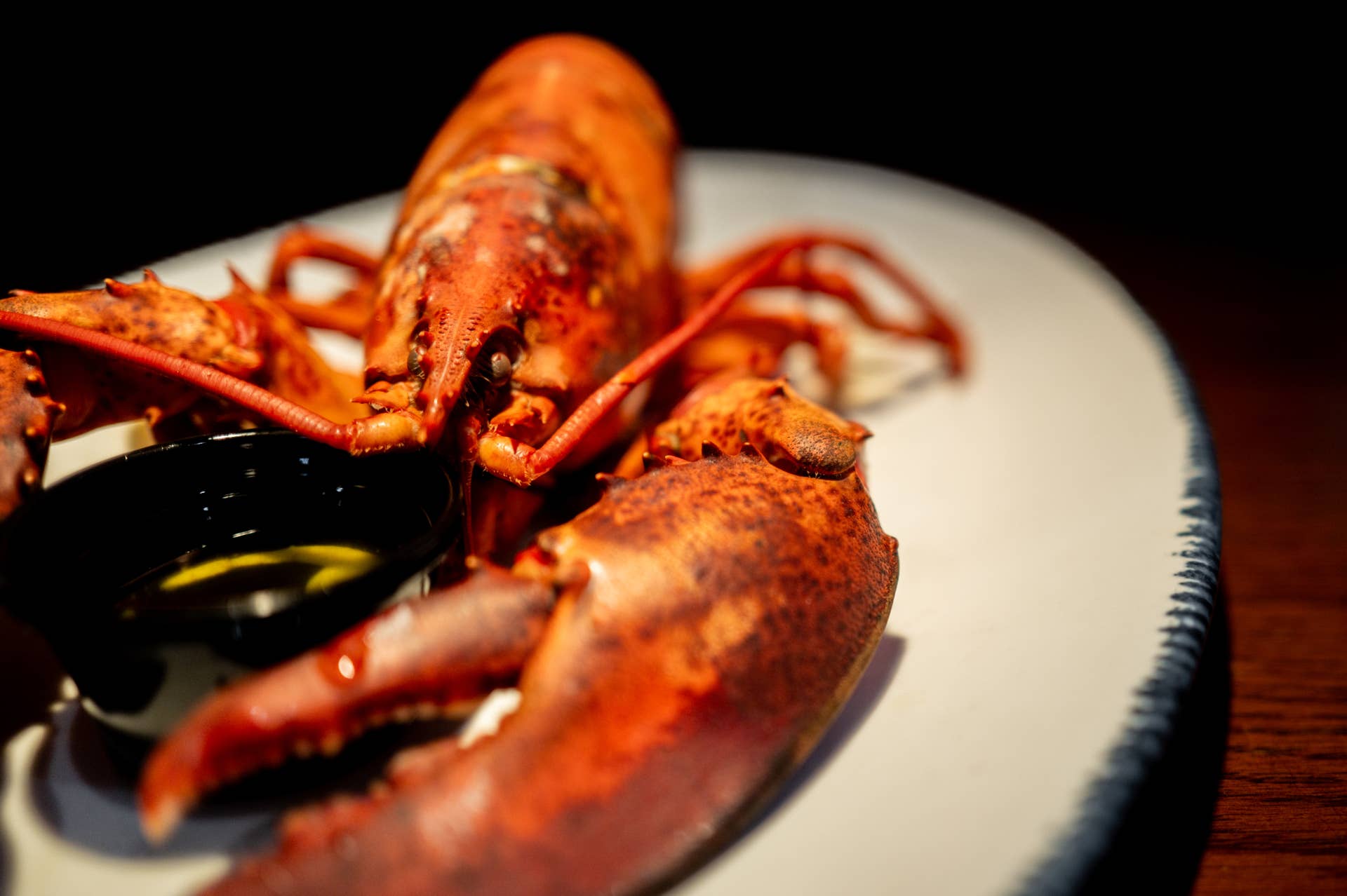 Oldest Red Lobster in the U.S. Closes Unexpectedly in Tallahassee After ...