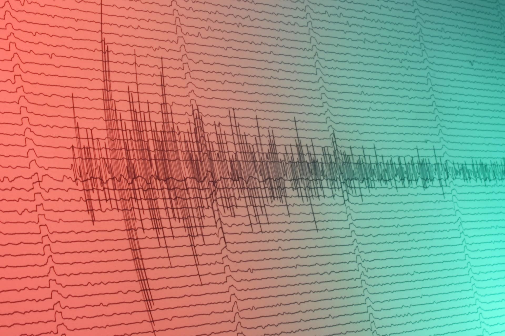 Moving the Earth: Sports Fans Caused a Mini Earthquake During City-Wide ...