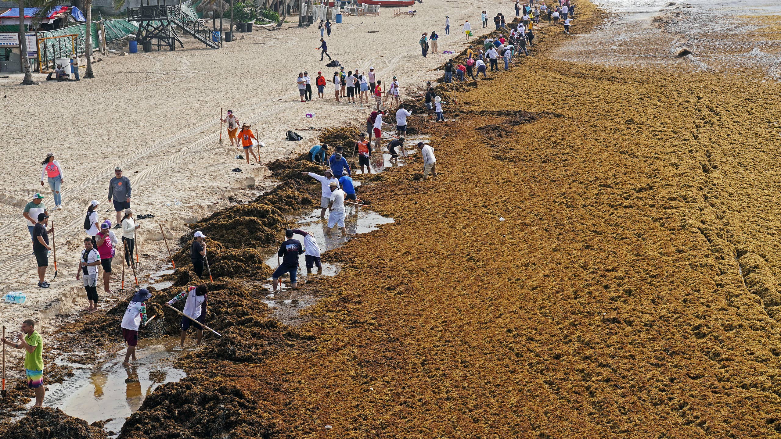 Iconic Beach Facing Environmental Crisis, Threatens Tourism - Men's Journal