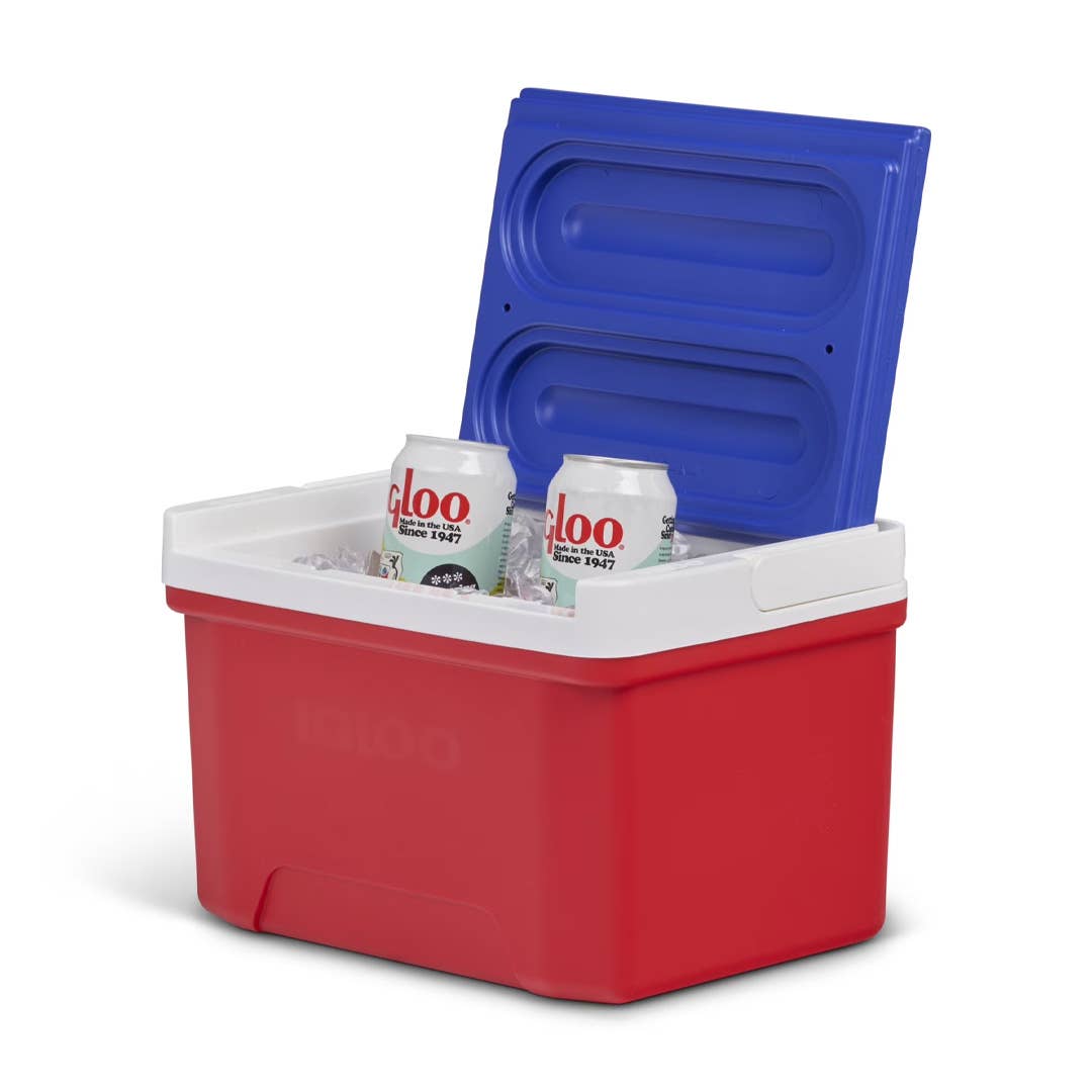 Igloo’s $14 Laguna Cooler Proves Affordable Gear Exists - Men's Journal