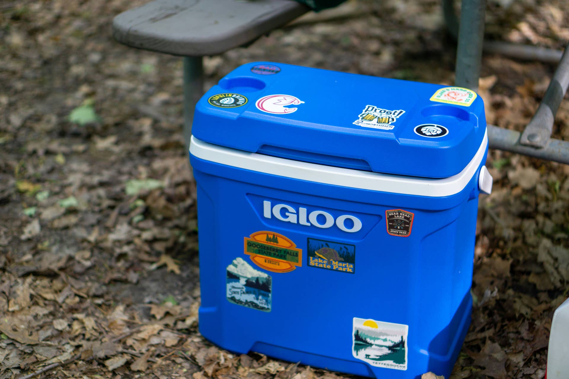 Igloo’s $14 Laguna Cooler Proves Affordable Gear Exists - Men's Journal