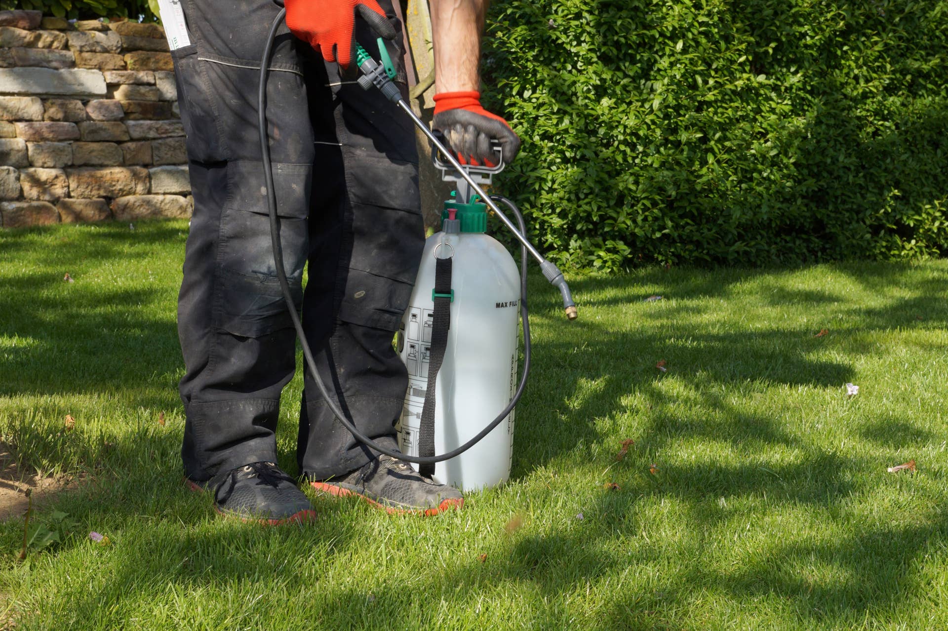 Best Time to Spray Weed Killer in Spring and Fall - Men's Journal